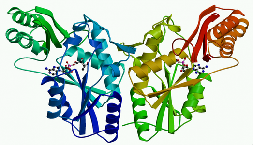 How to Draw Peptide Chains : 18 Steps (with Pictures) - Instructables