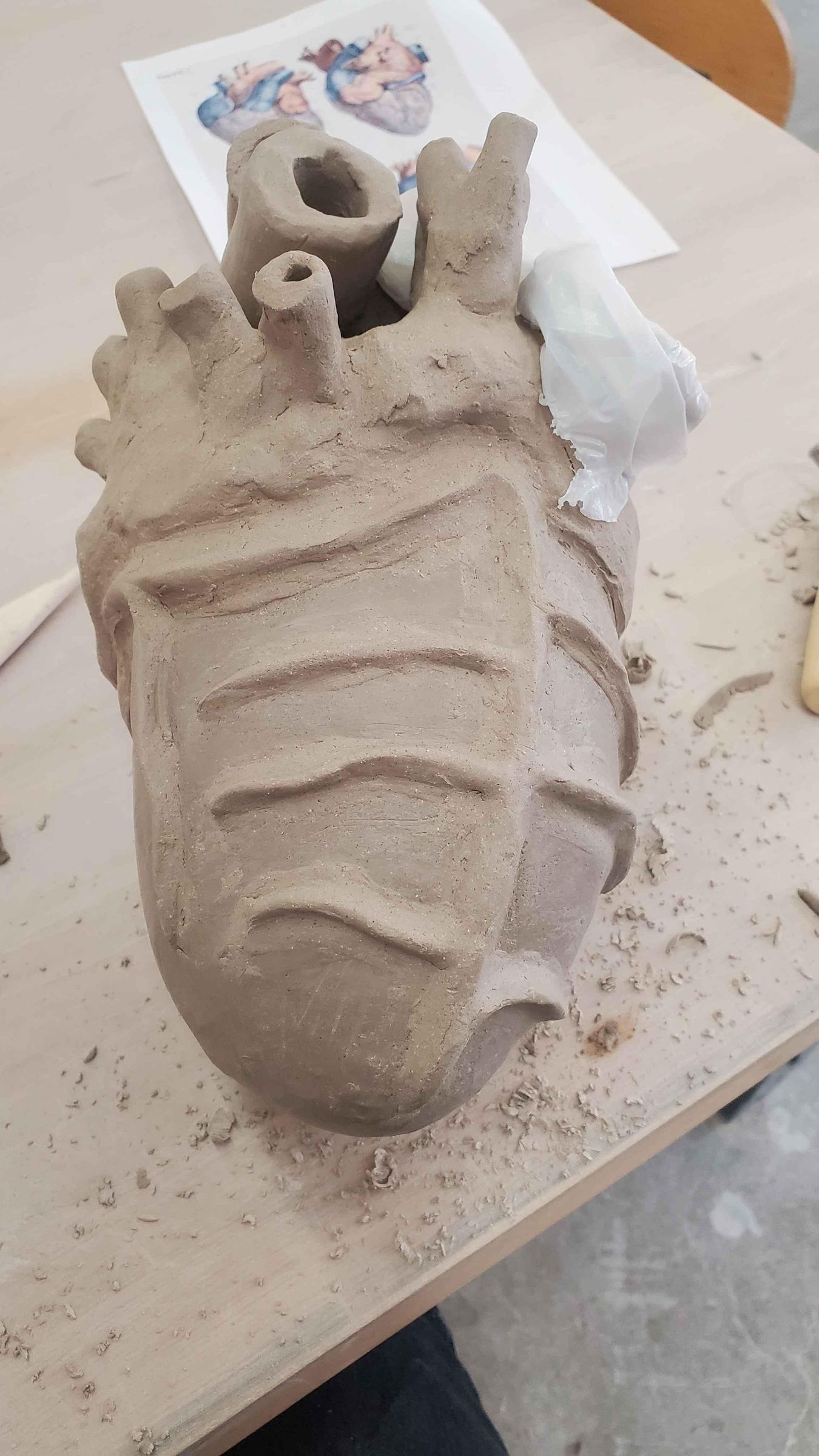 Anatomically Correct Heart - Clay : 11 Steps (with Pictures ...
