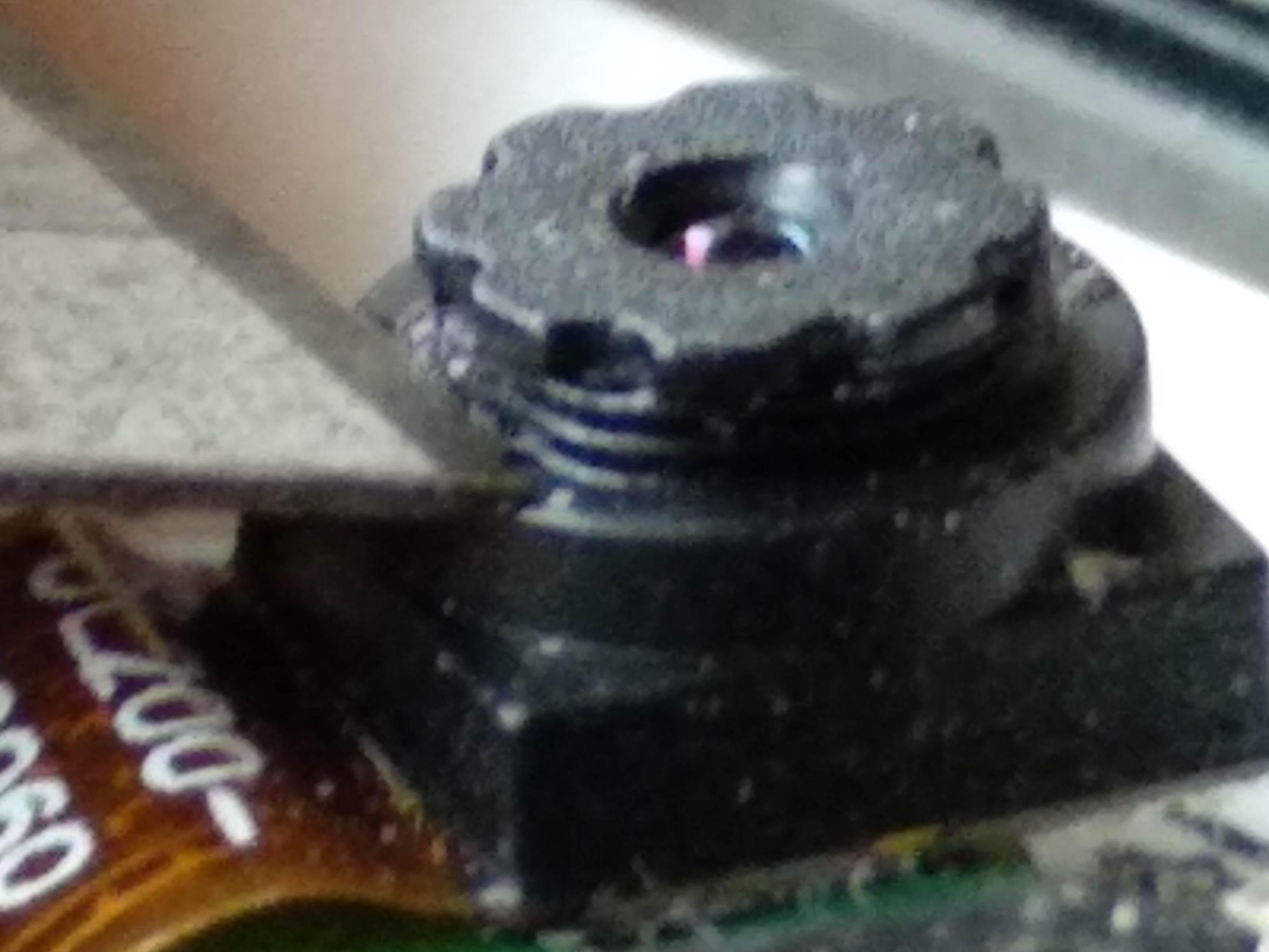 Turn Your Old Smartphone Into a Nocturne Vision Camera and Security ...