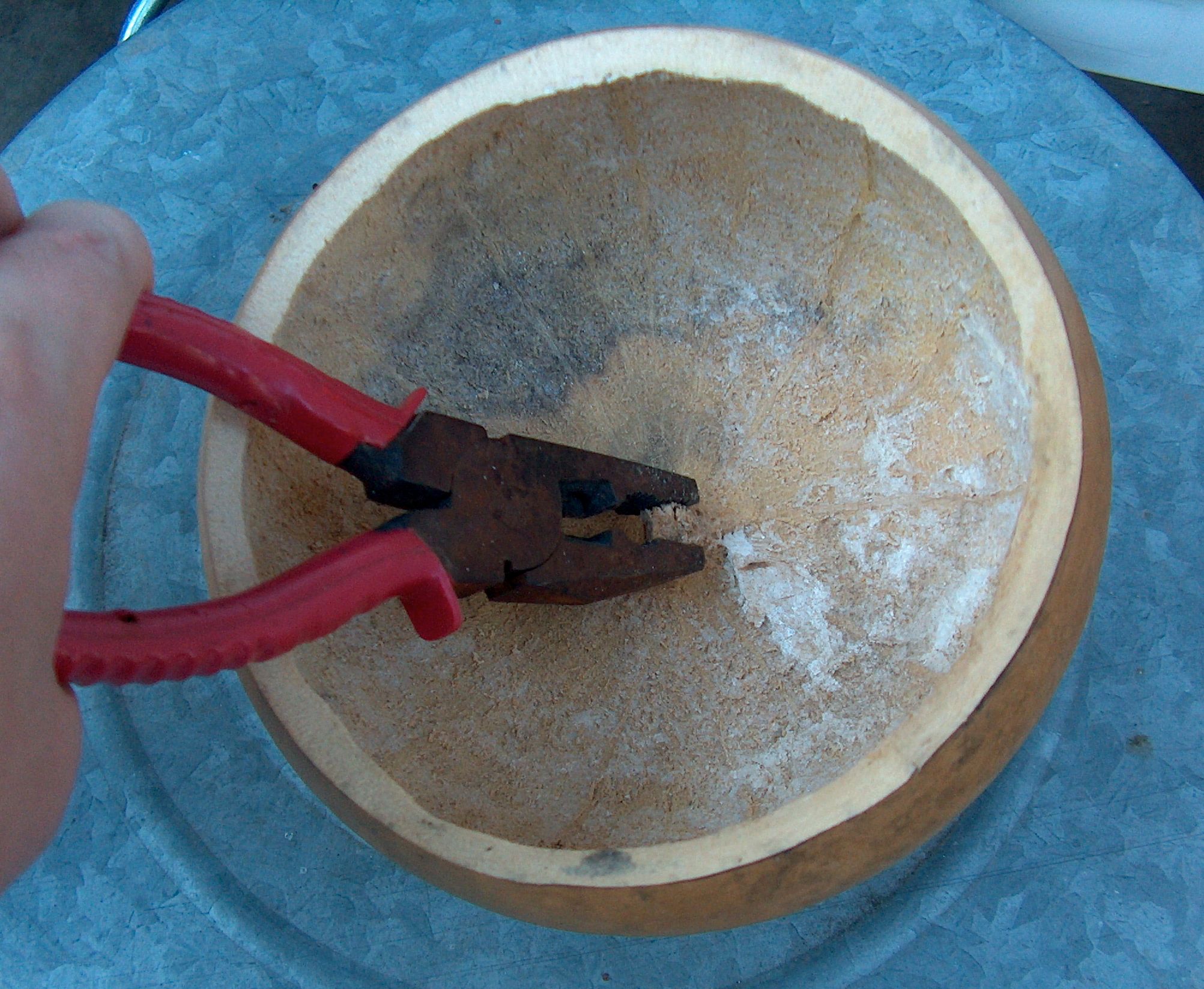 How to Clean a Hardshell Gourd : 3 Steps (with Pictures) - Instructables