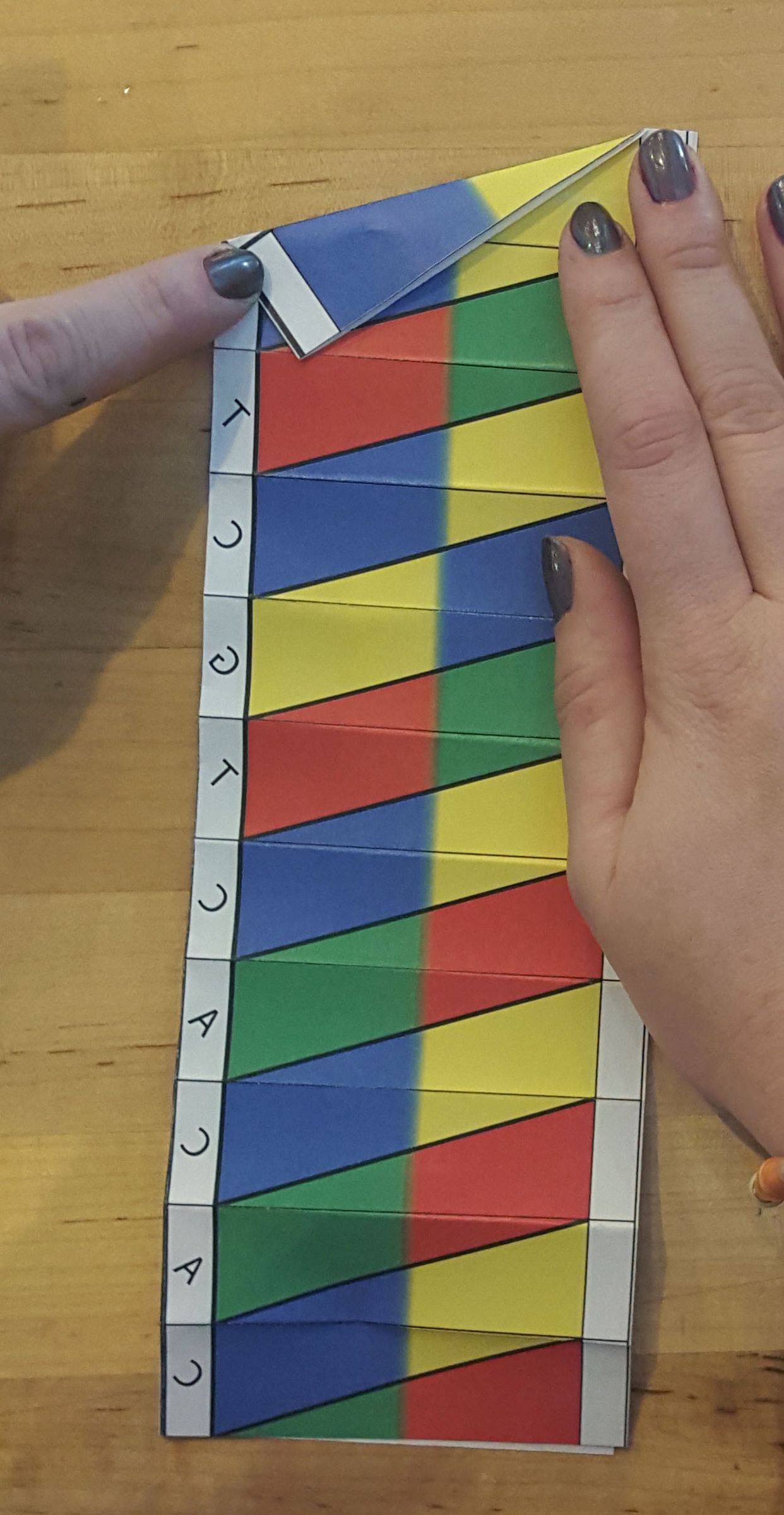 DNA Origami : 7 Steps (with Pictures) - Instructables