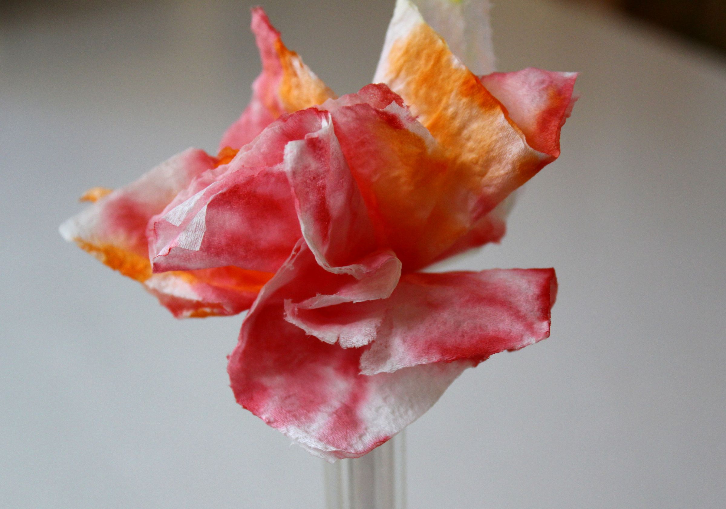 Tie-Dye Tissue : 5 Steps (with Pictures) - Instructables