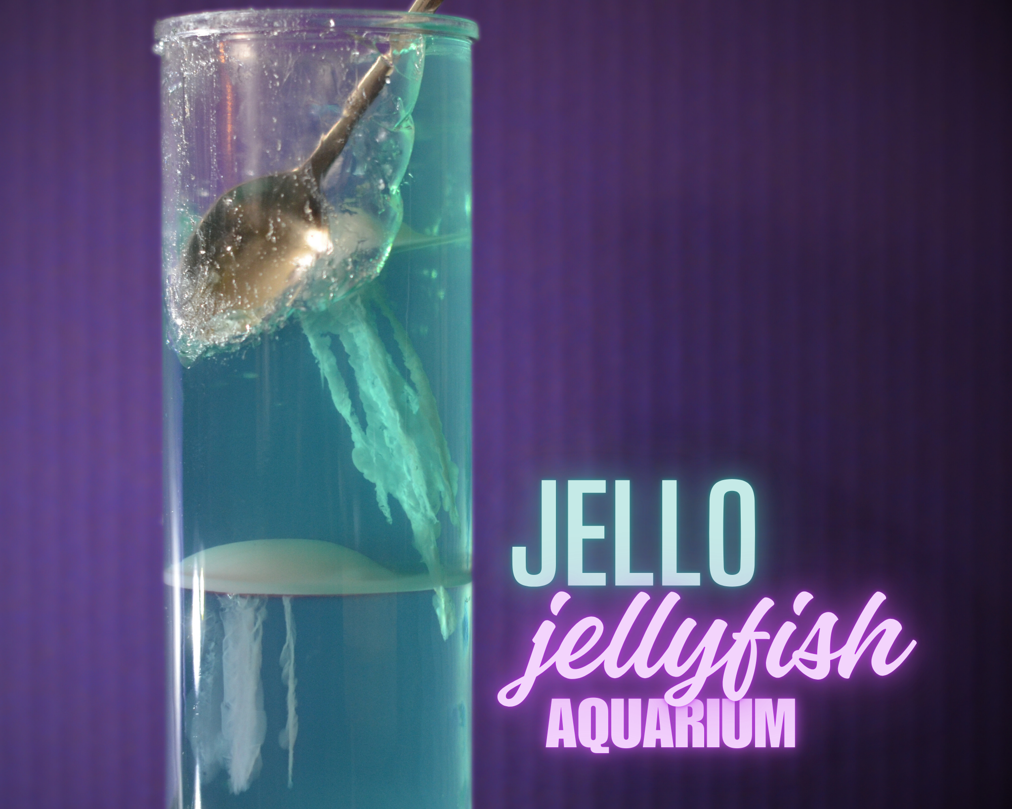 JELLO Jellyfish Aquarium : 9 Steps (with Pictures) - Instructables