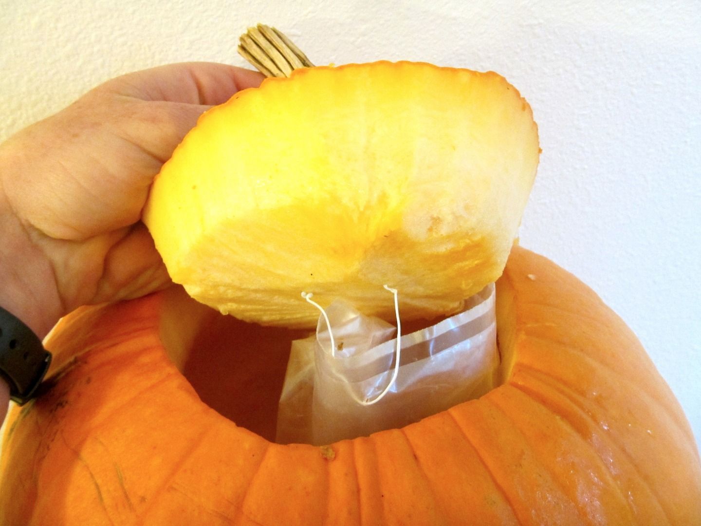 Pumpkin Wine Cooler : 9 Steps (with Pictures) - Instructables