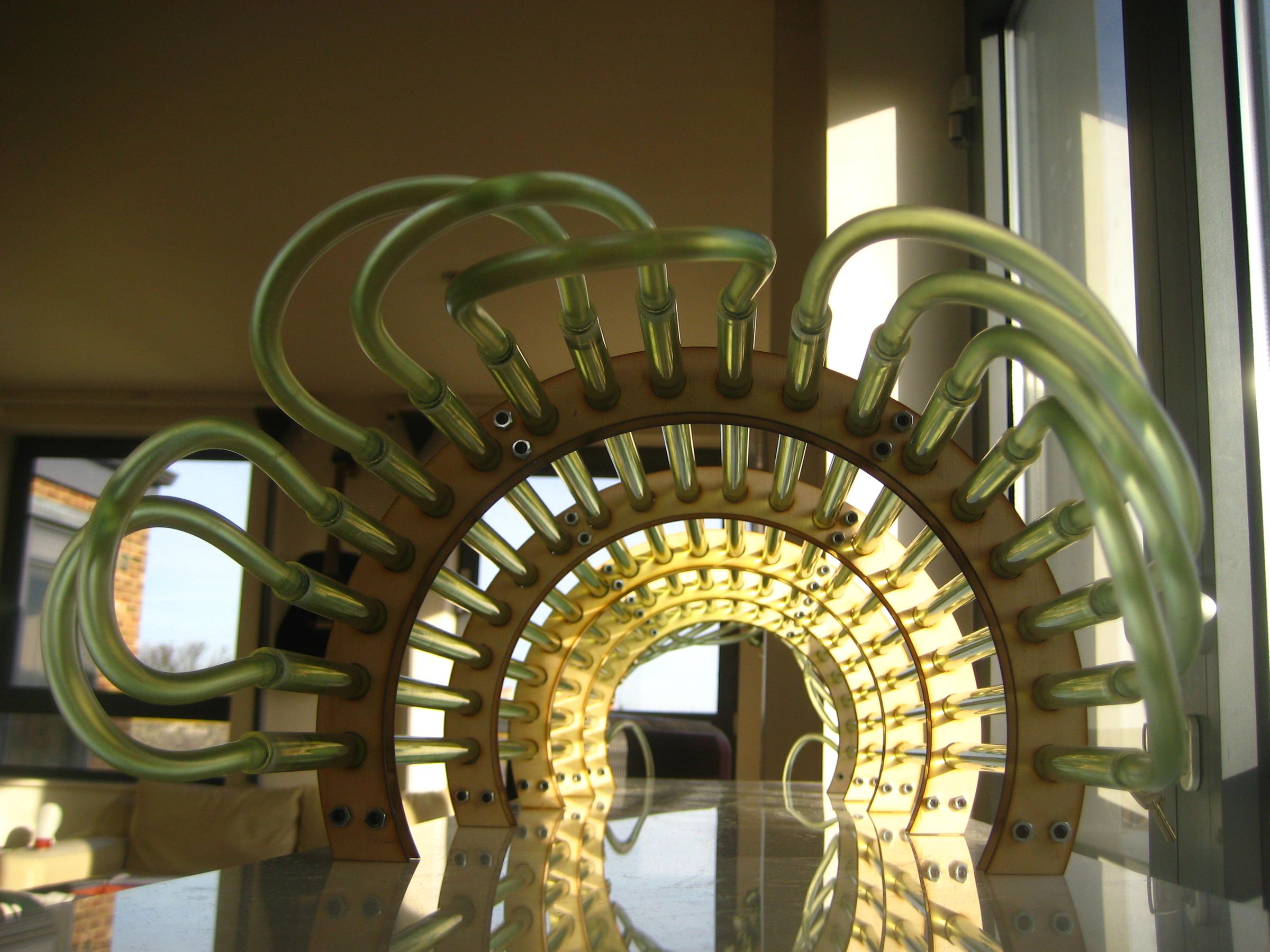 The Algae Experiment: How to Build Your Own Algae Photo-bioreactor ...