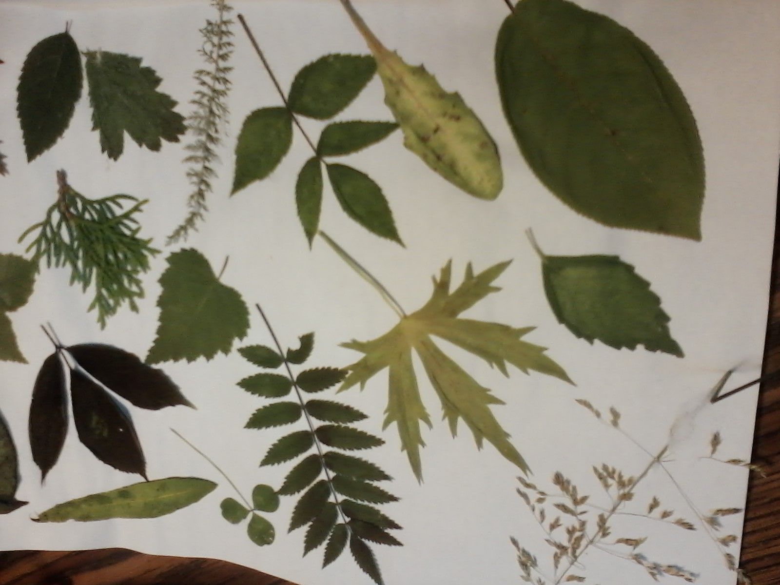 Making Rubbings (with Pictures) - Instructables