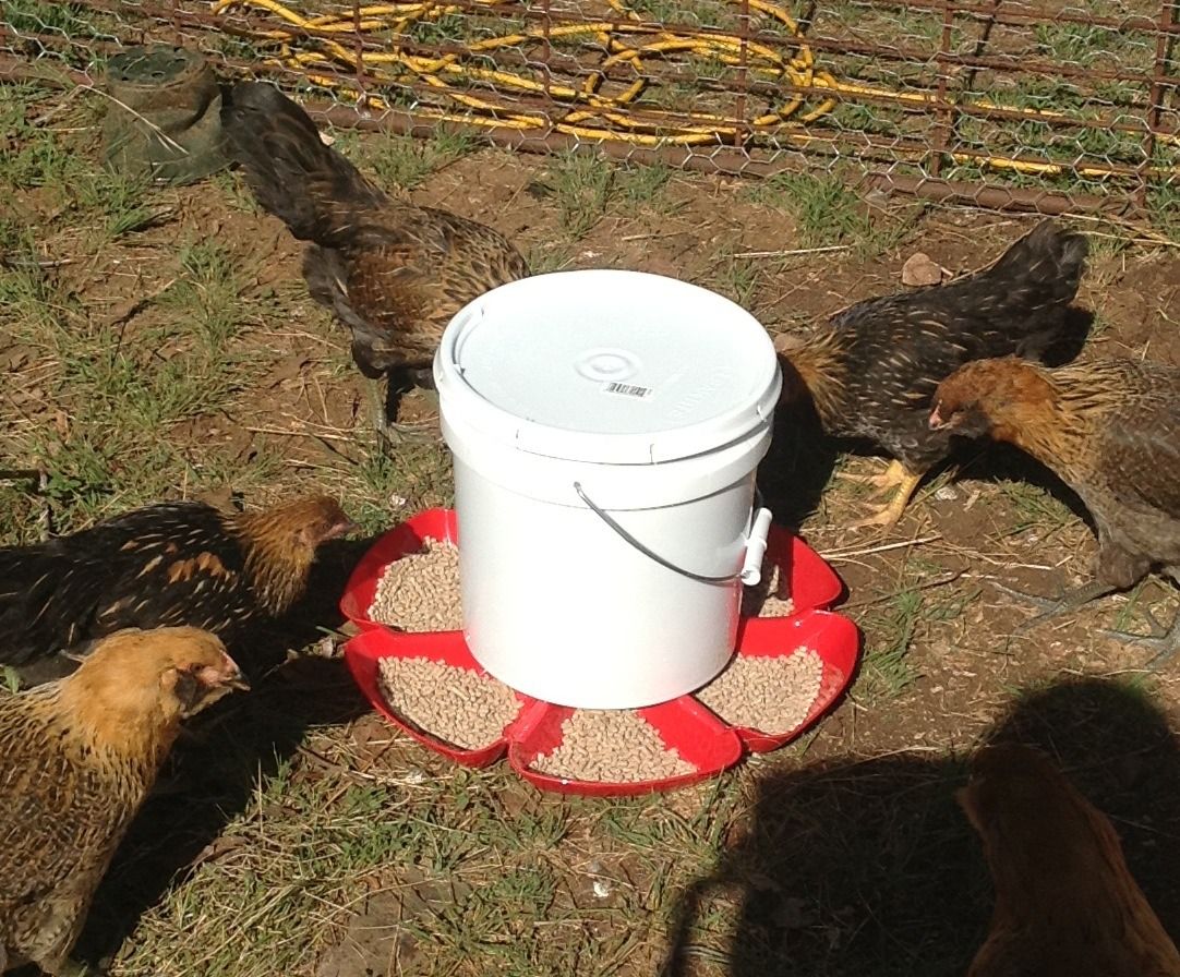 $6 Gravity Powered Auto Chicken Feeder : 5 Steps (with Pictures ...