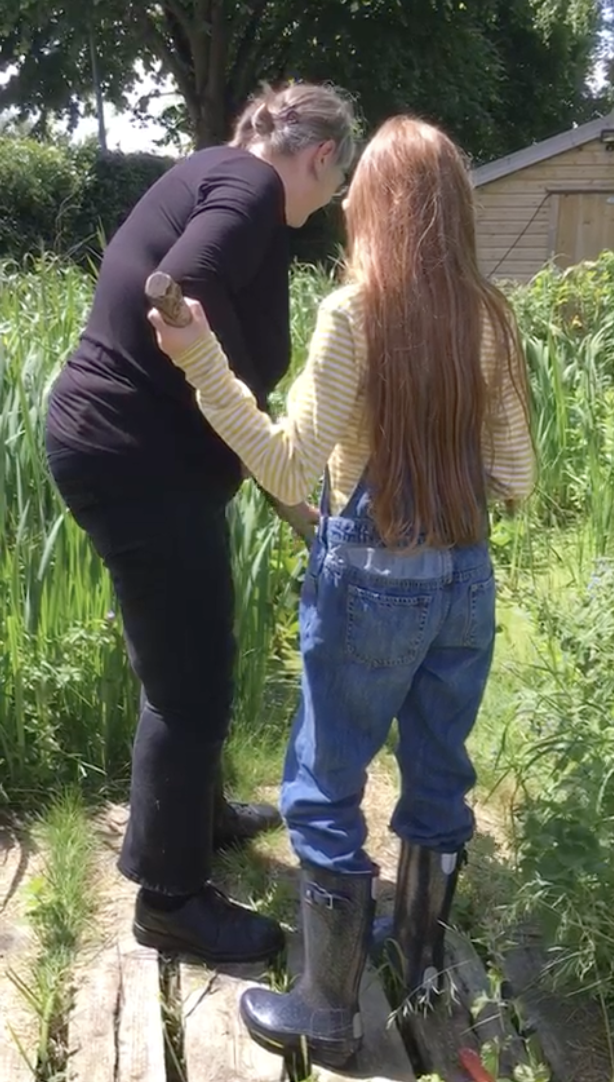 A Wild Pond Teeming With Plants, Insects and Newts : 5 Steps (with ...
