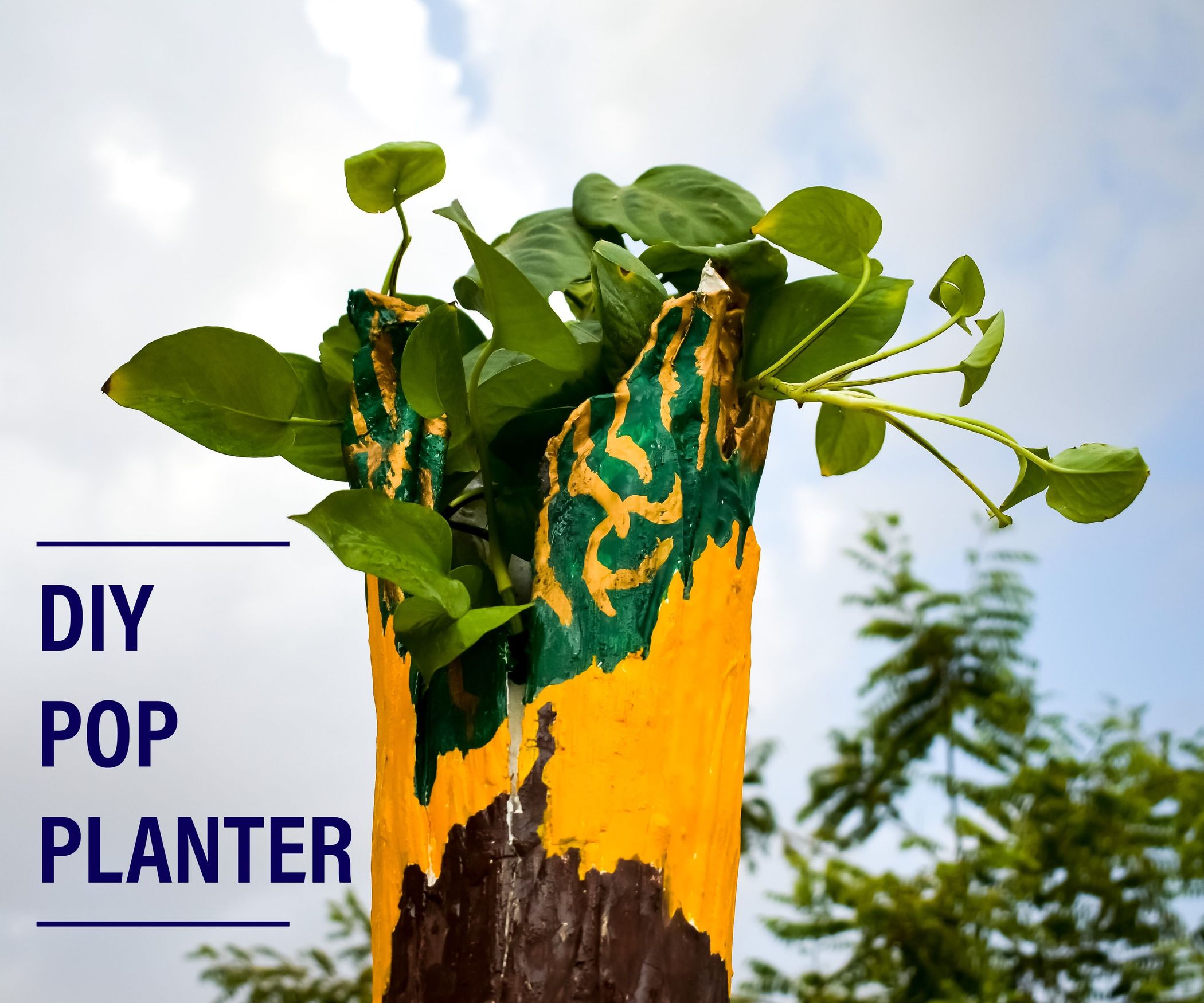 DIY P.O.P PLANTER : 7 Steps - Instructables