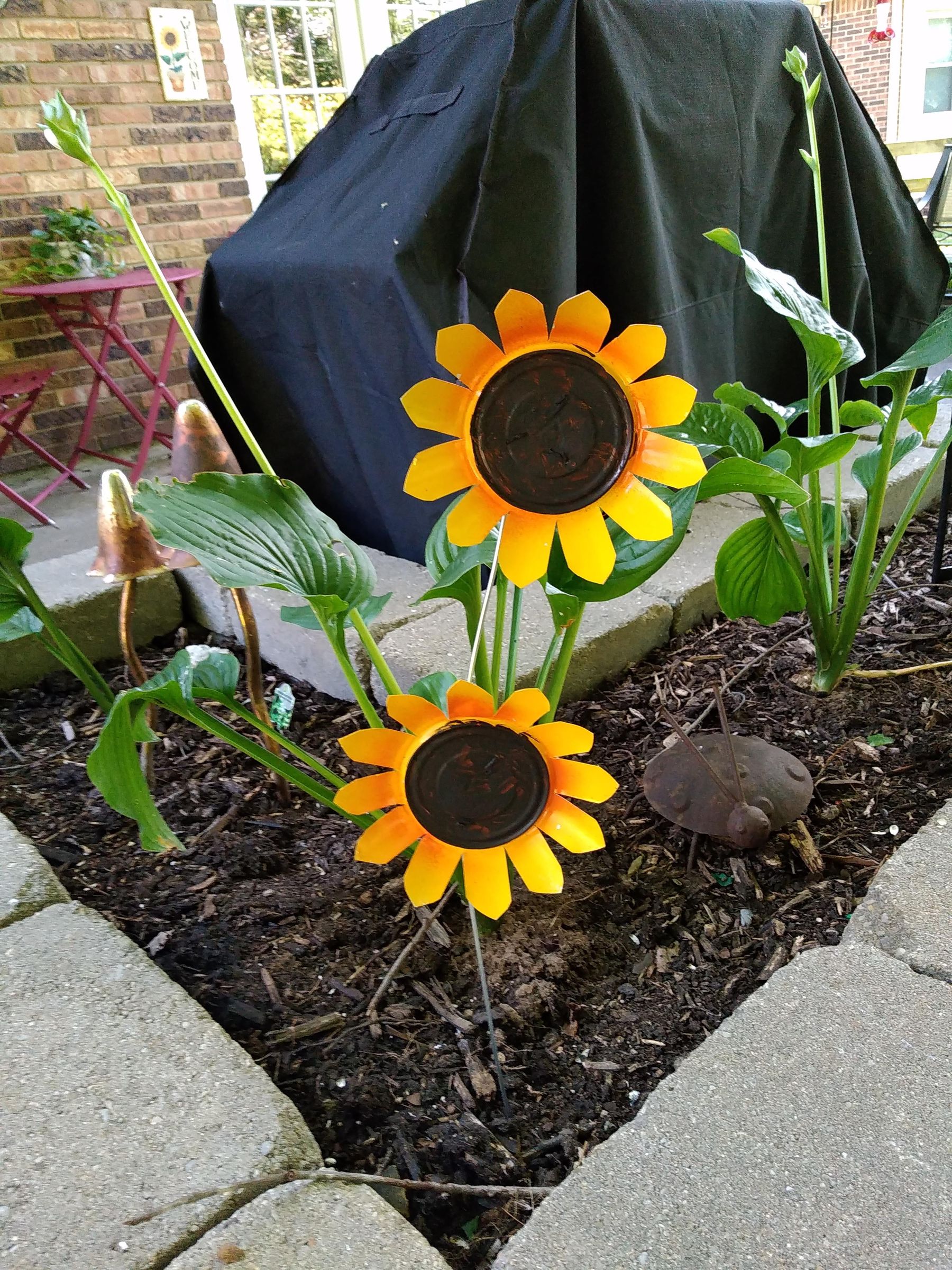 Cat Food Can Sunflowers : 11 Steps (with Pictures) - Instructables