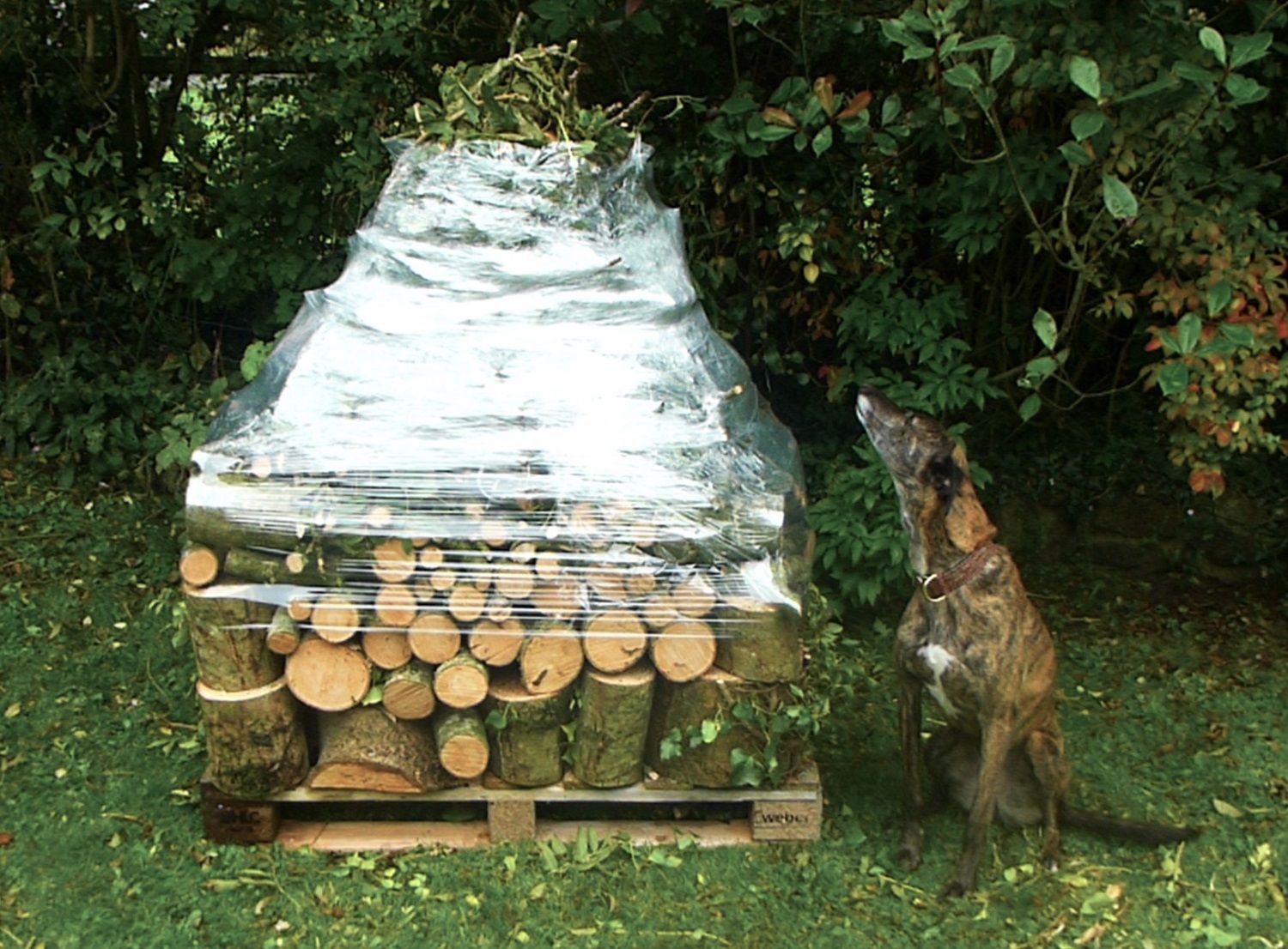 How to Stack and Ventilate Firewood With Pallet Wrap : 18 Steps (with ...