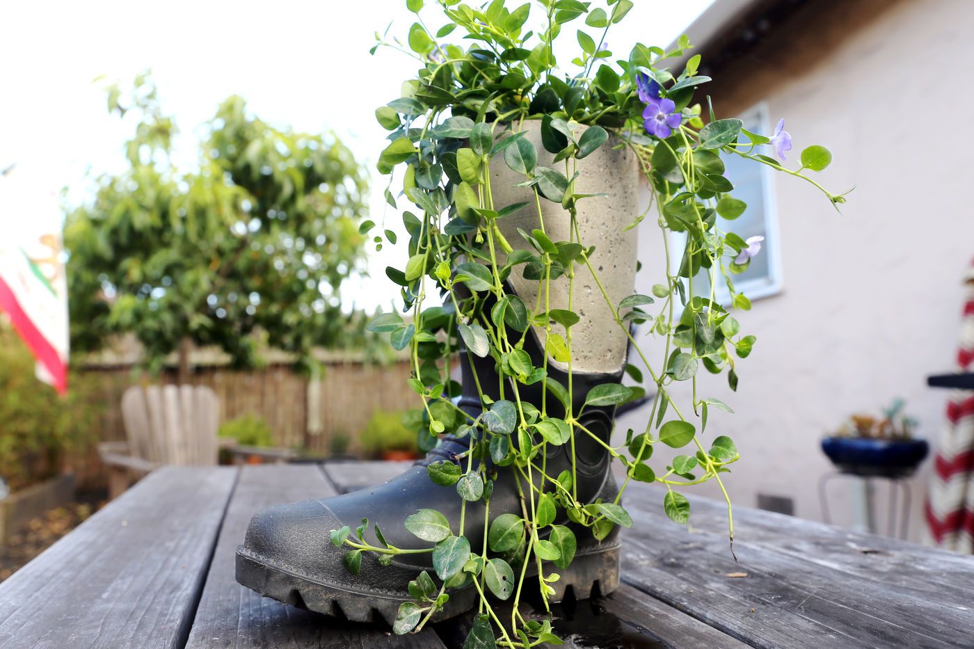 Concrete Boot Planter : 10 Steps (with Pictures) - Instructables