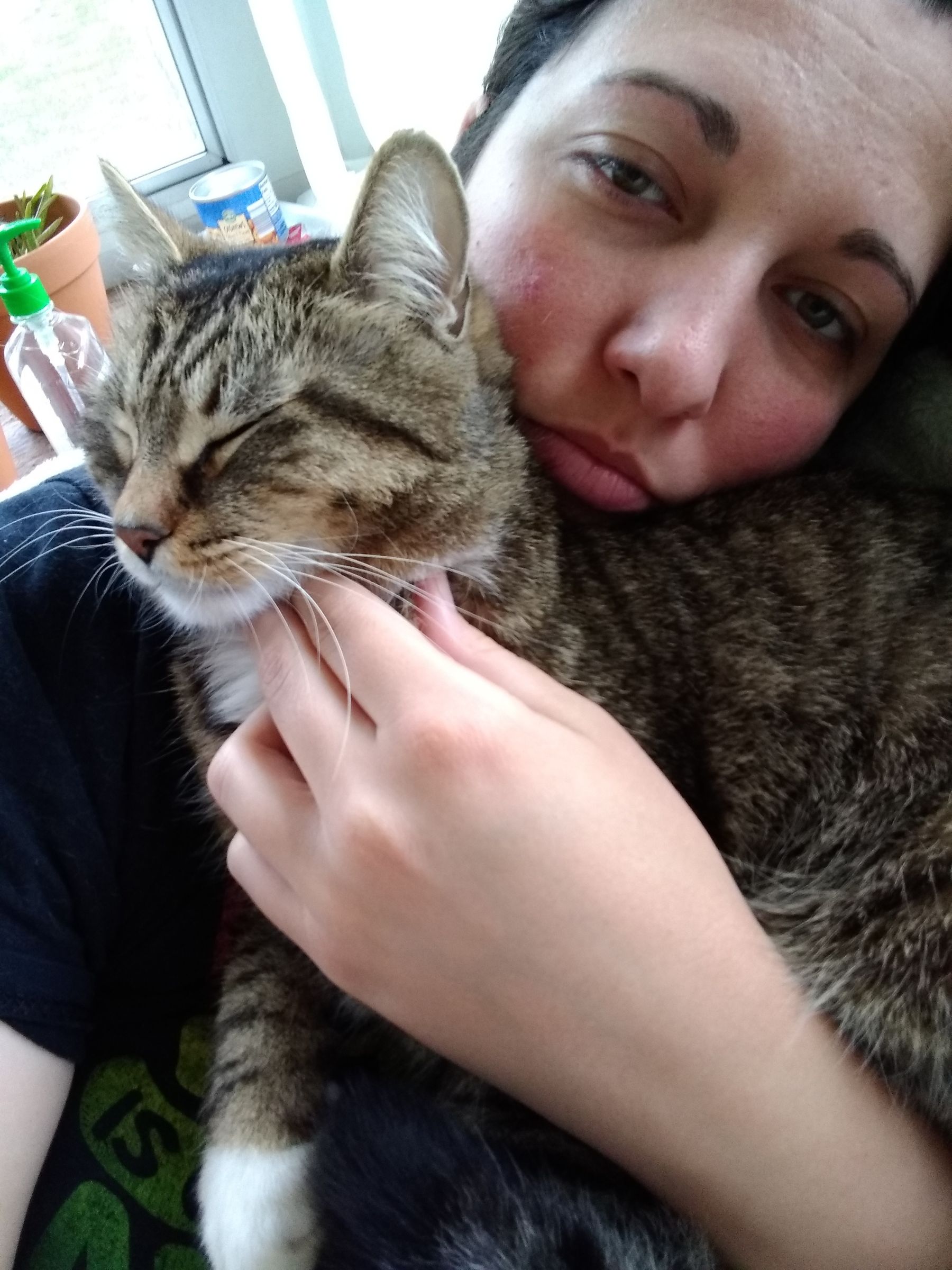 How To: Lull Your Cat to Sleep : 14 Steps (with Pictures) - Instructables