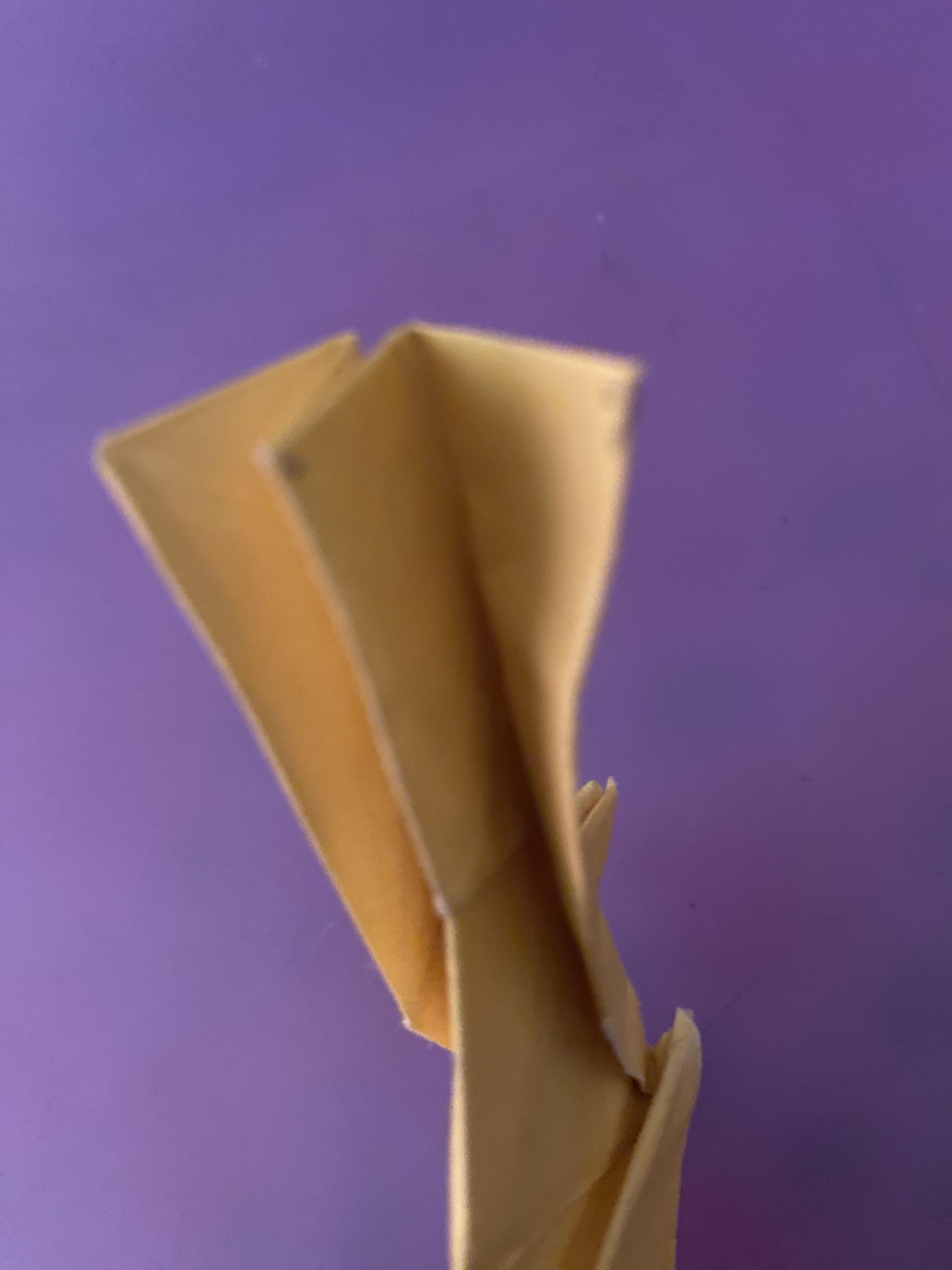 Origami Rat : 27 Steps - Instructables