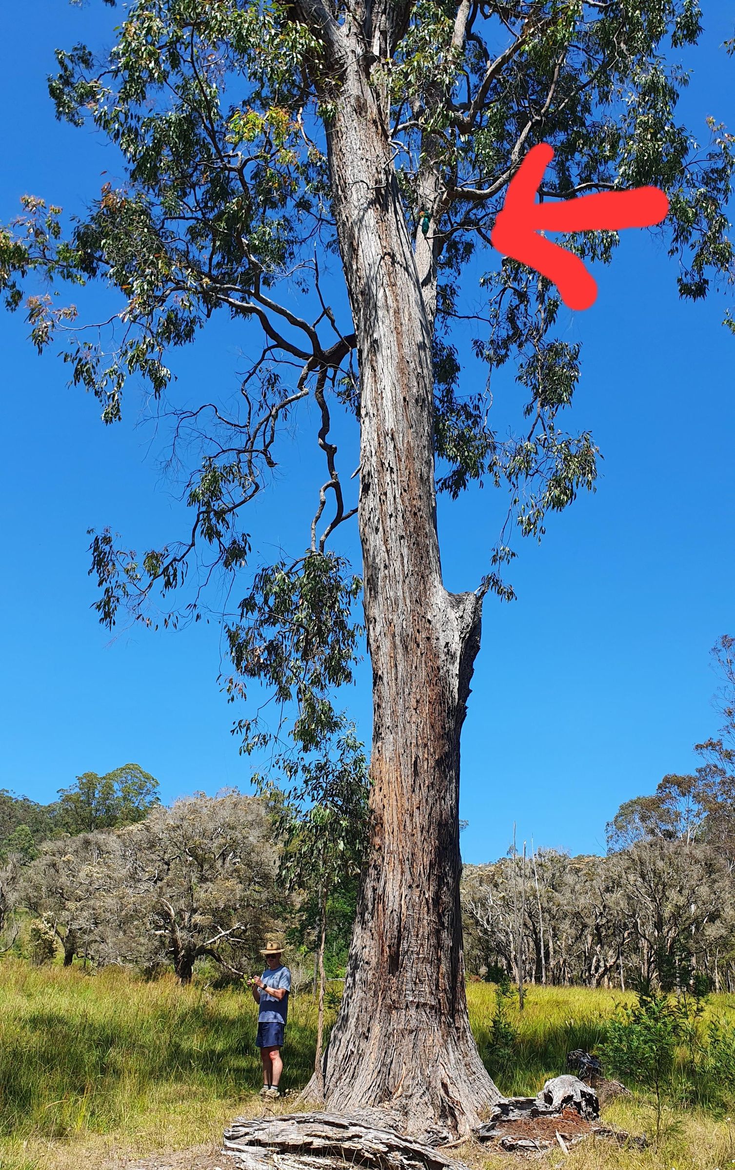 Portable Radio Mast - Increase Walkie Talkie Range : 9 Steps (with ...