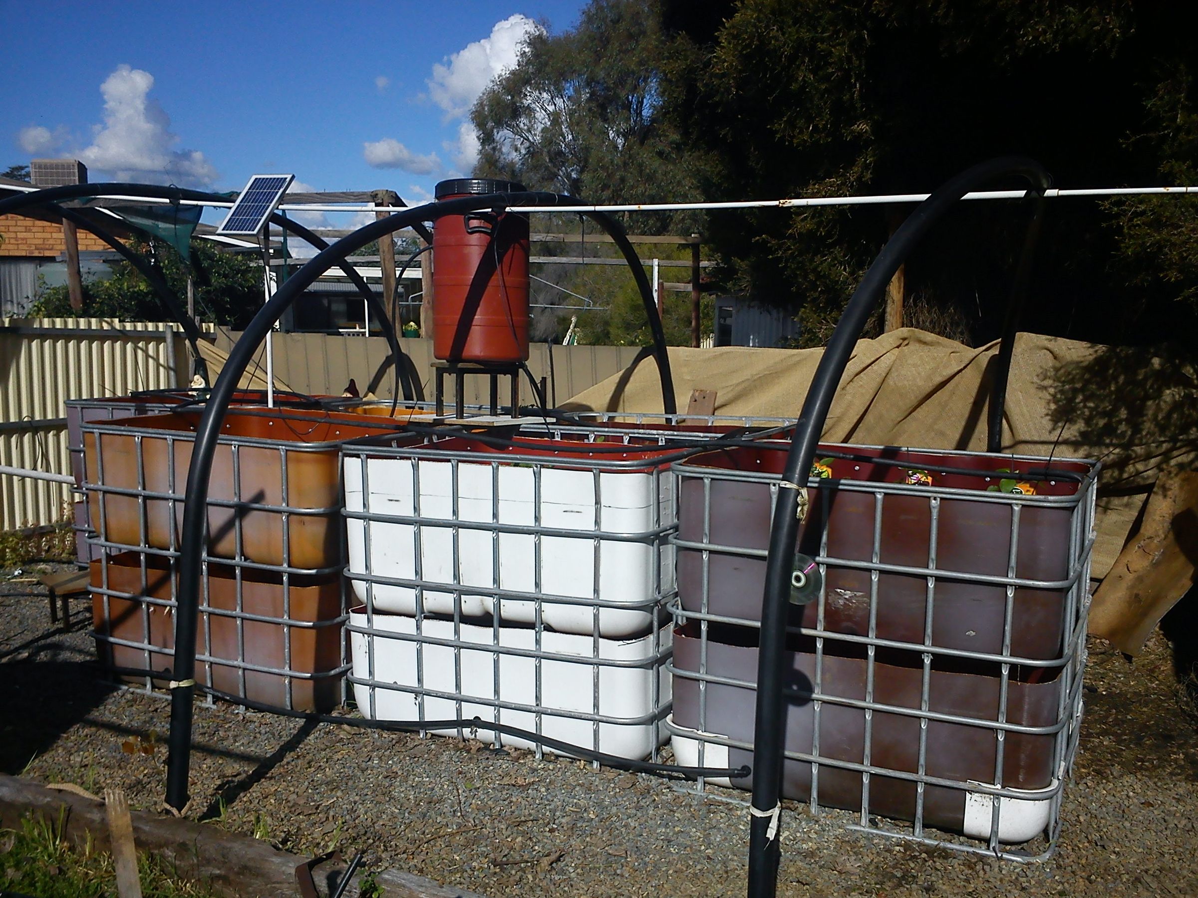 Vermiponic Garden : 12 Steps (with Pictures) - Instructables