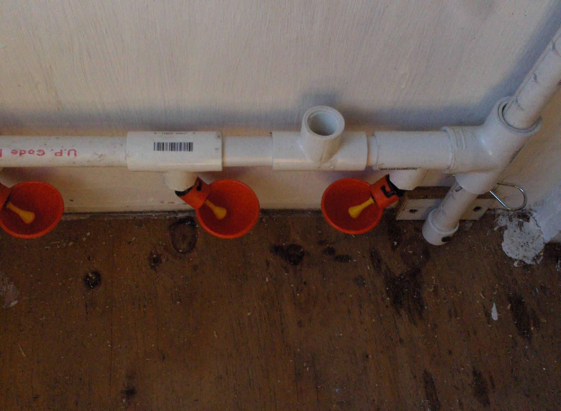 Chicken Drinker Manifold for Cups or Nipples - Instructables