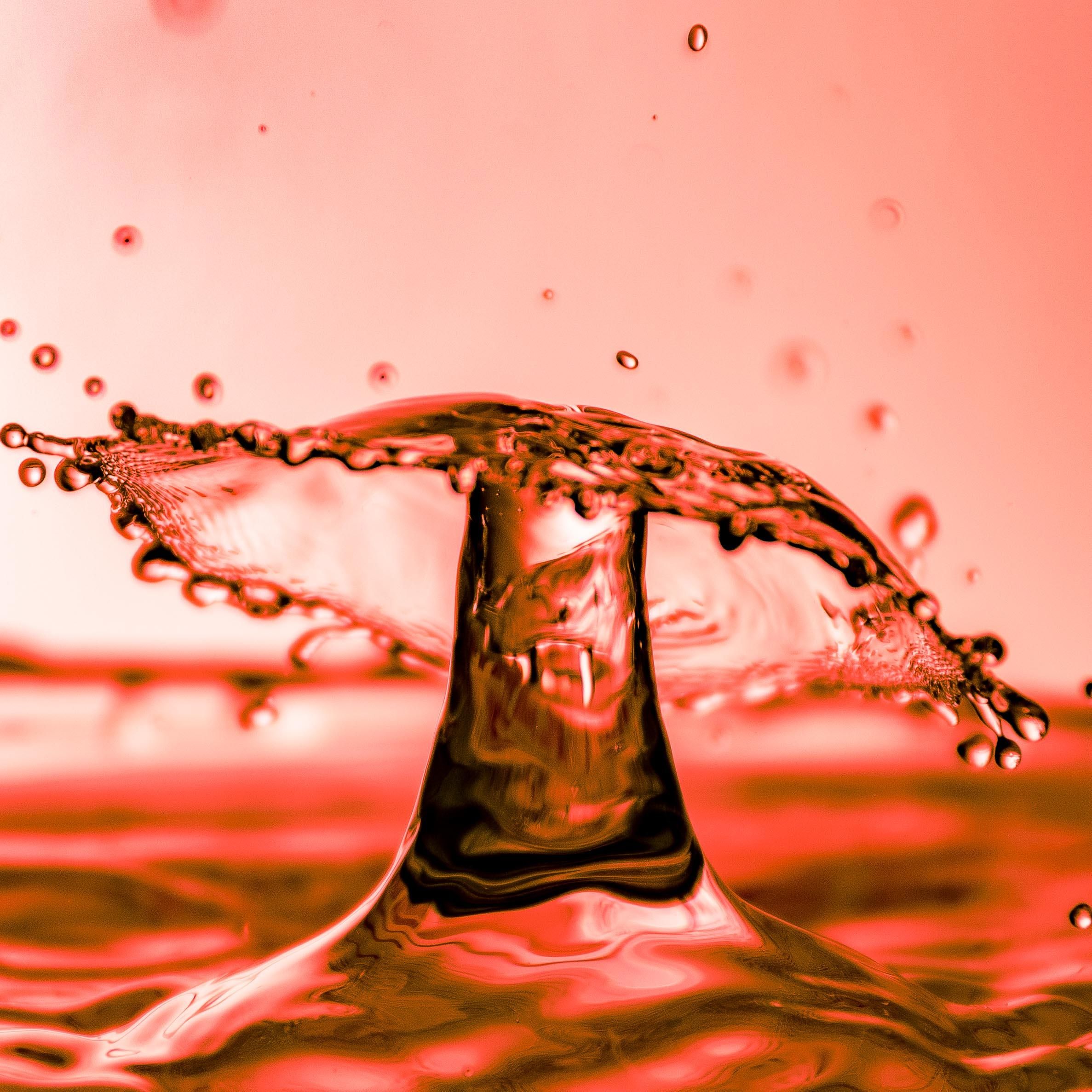 Trigger Trap Splash Flash Timer : 8 Steps - Instructables