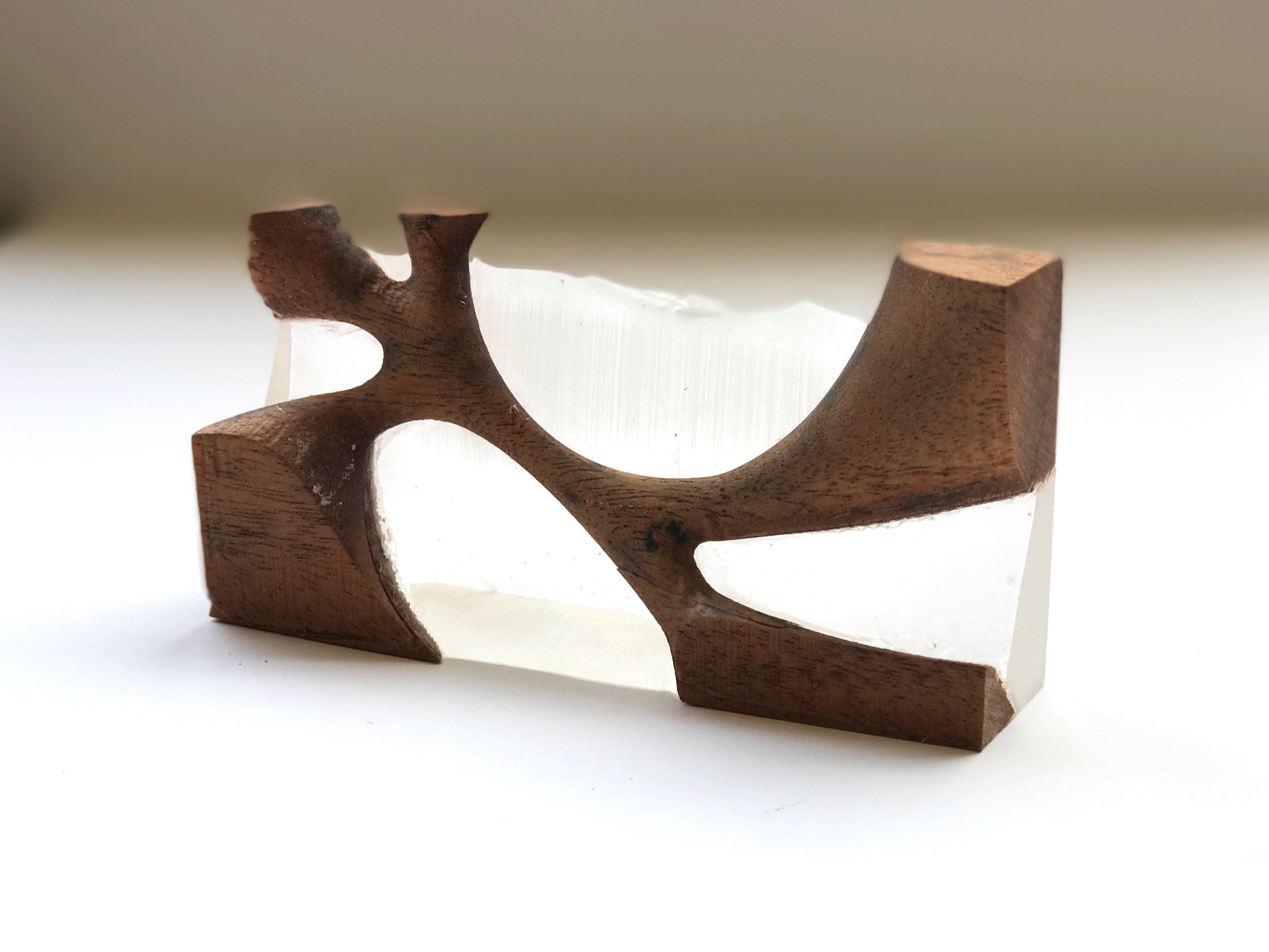 Organic Wood and Resin Object : 12 Steps (with Pictures) - Instructables