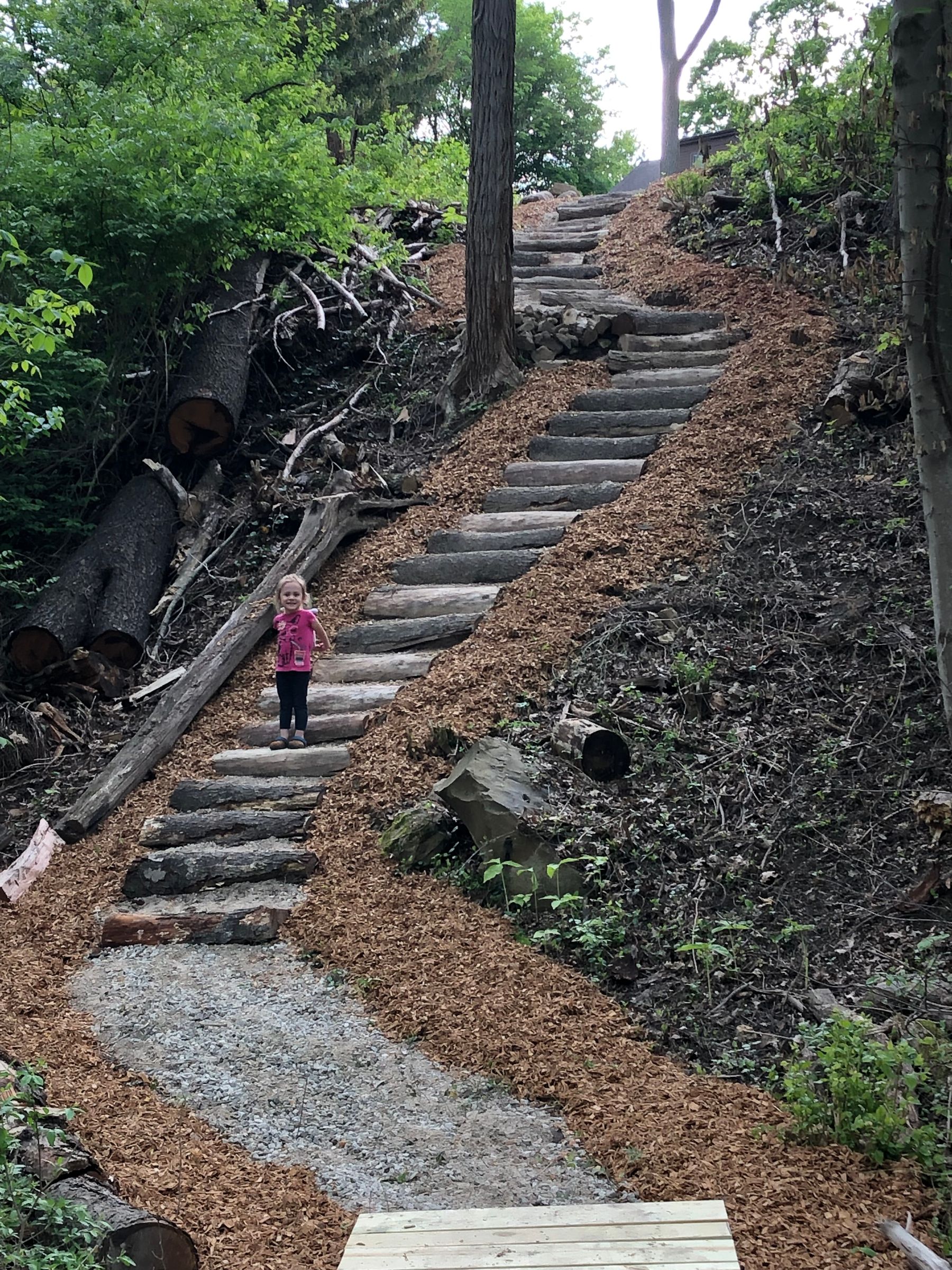 Log Path Cut Into a Hill : 5 Steps (with Pictures) - Instructables