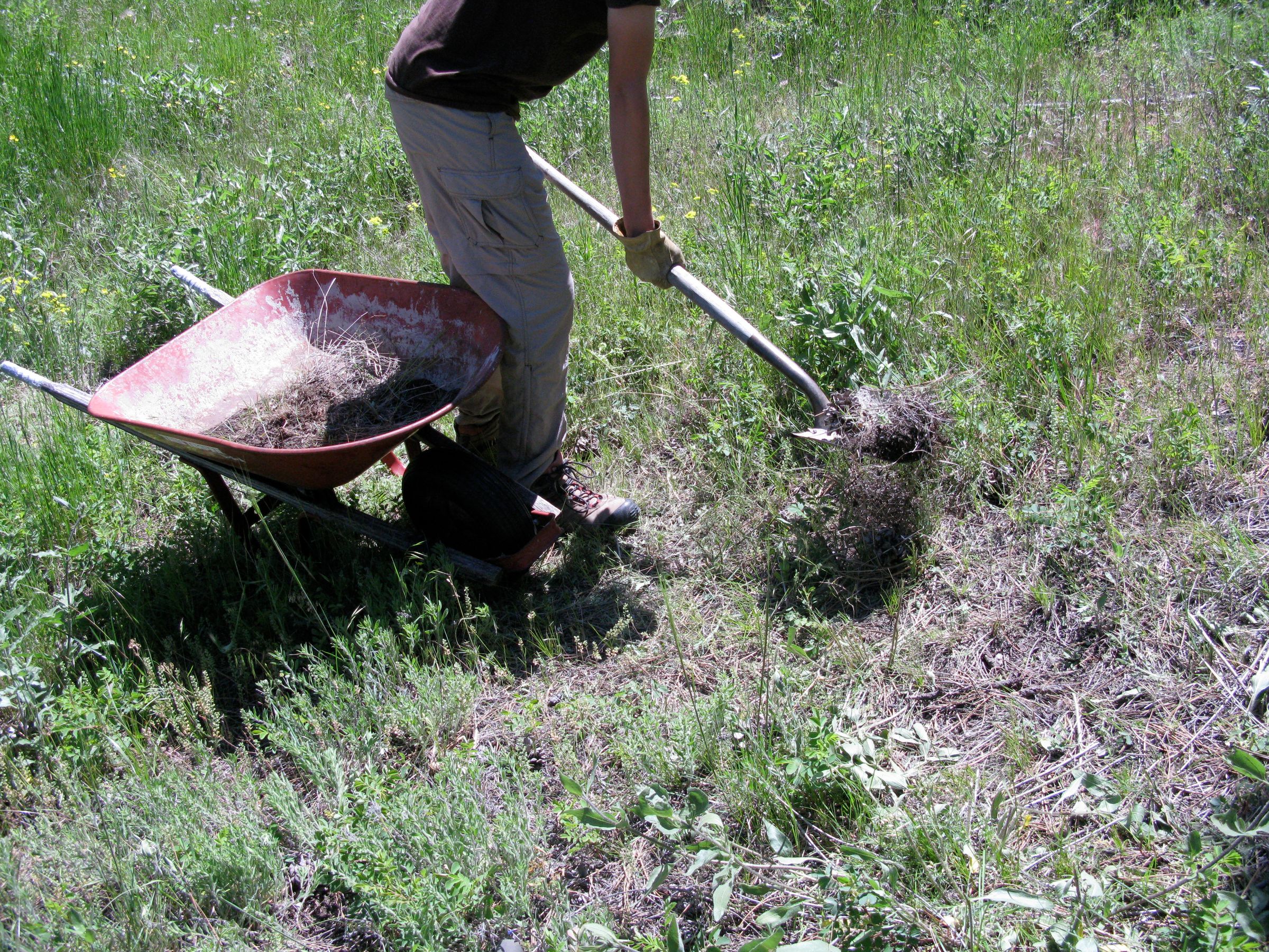 Bulid a Mountain Bike Trail : 7 Steps - Instructables