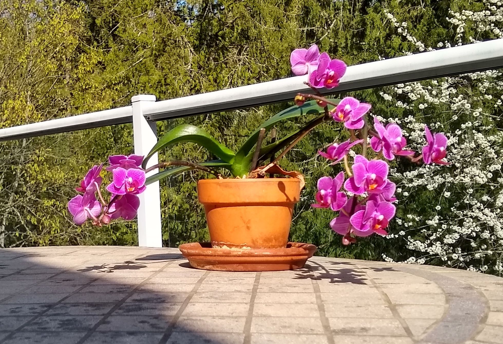 Tissue Box Camera Obscura : 7 Steps (with Pictures) - Instructables