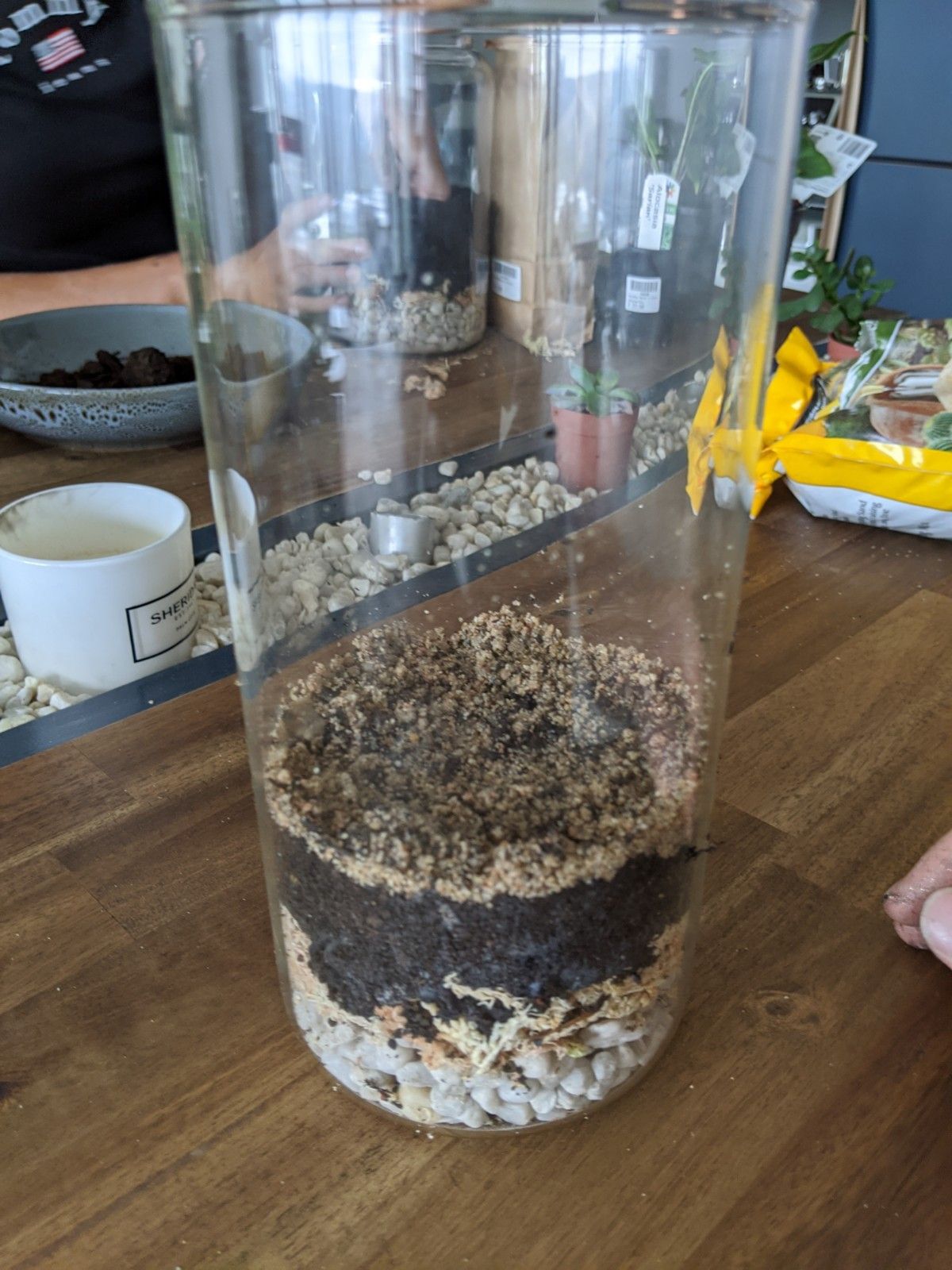 IoT-Terrarium : 6 Steps (with Pictures) - Instructables