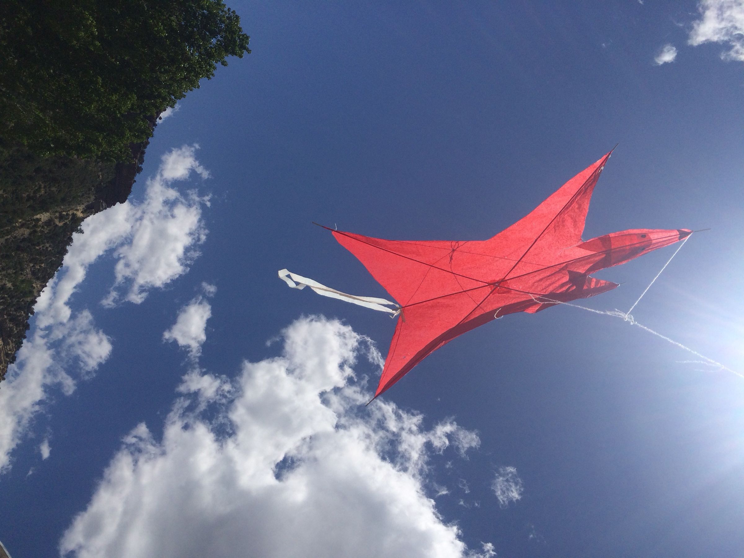 EDO FOX KITE : 9 Steps - Instructables