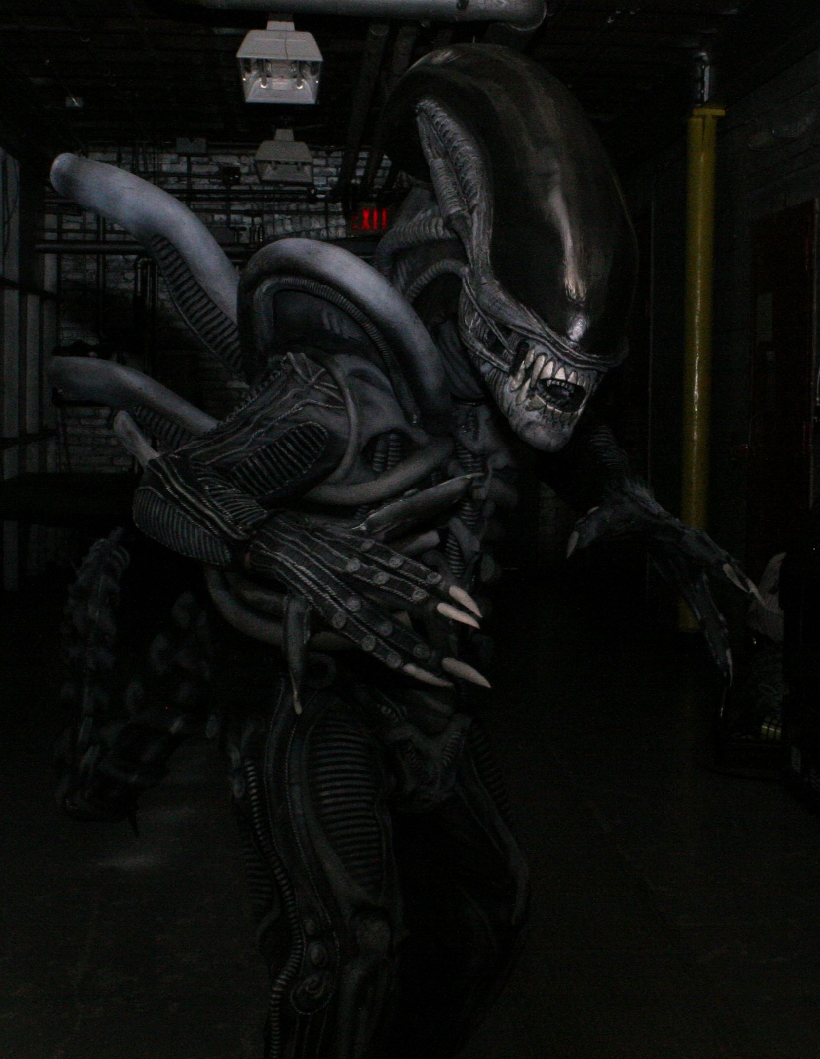 Alien Xenomorph Costume : 17 Steps (with Pictures) - Instructables