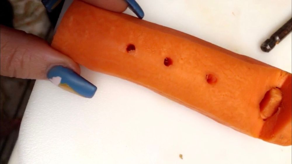 The Carrot Recorder : 7 Steps (with Pictures) - Instructables