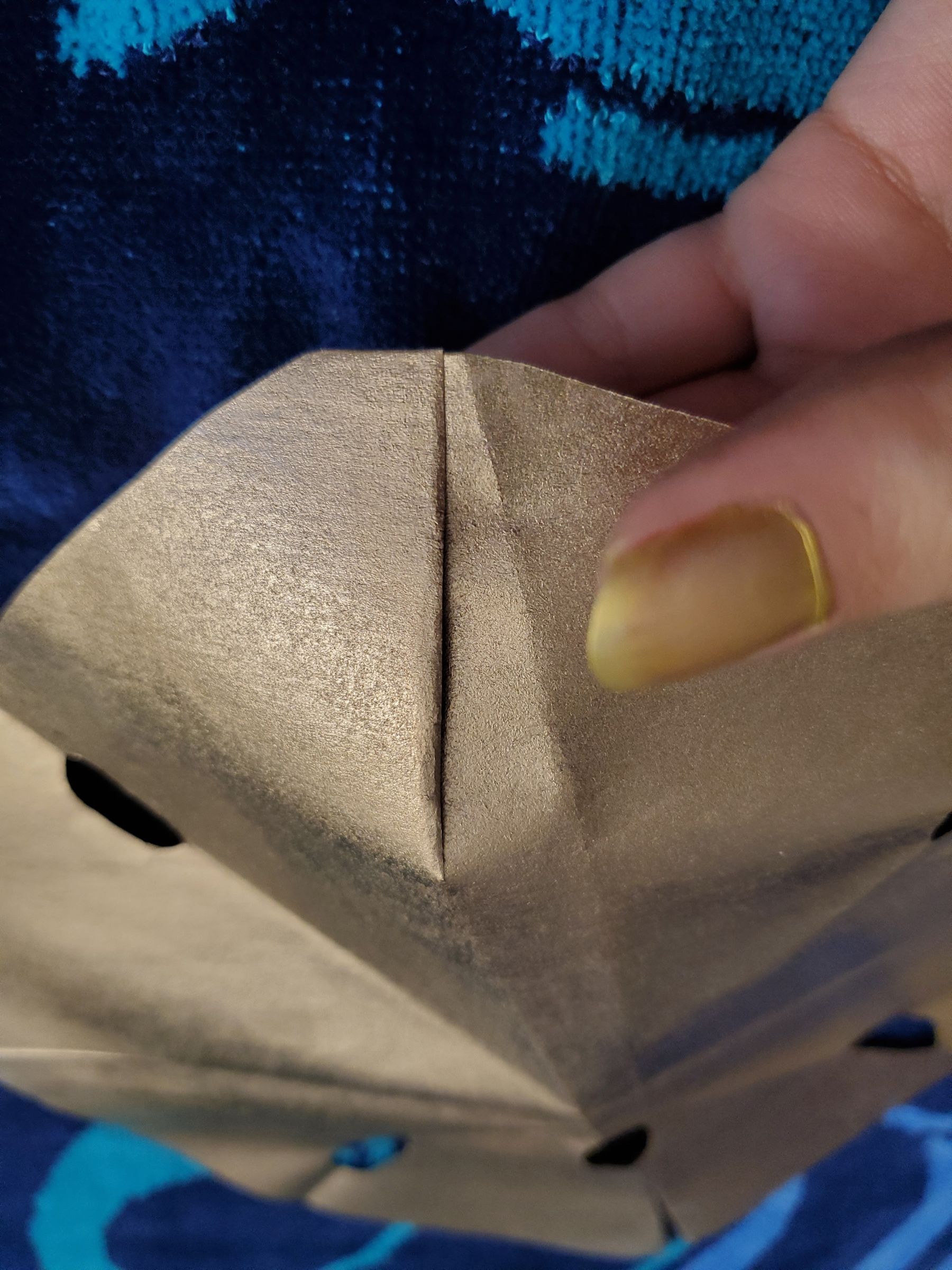 Super Sized Sand Dollar : 5 Steps - Instructables