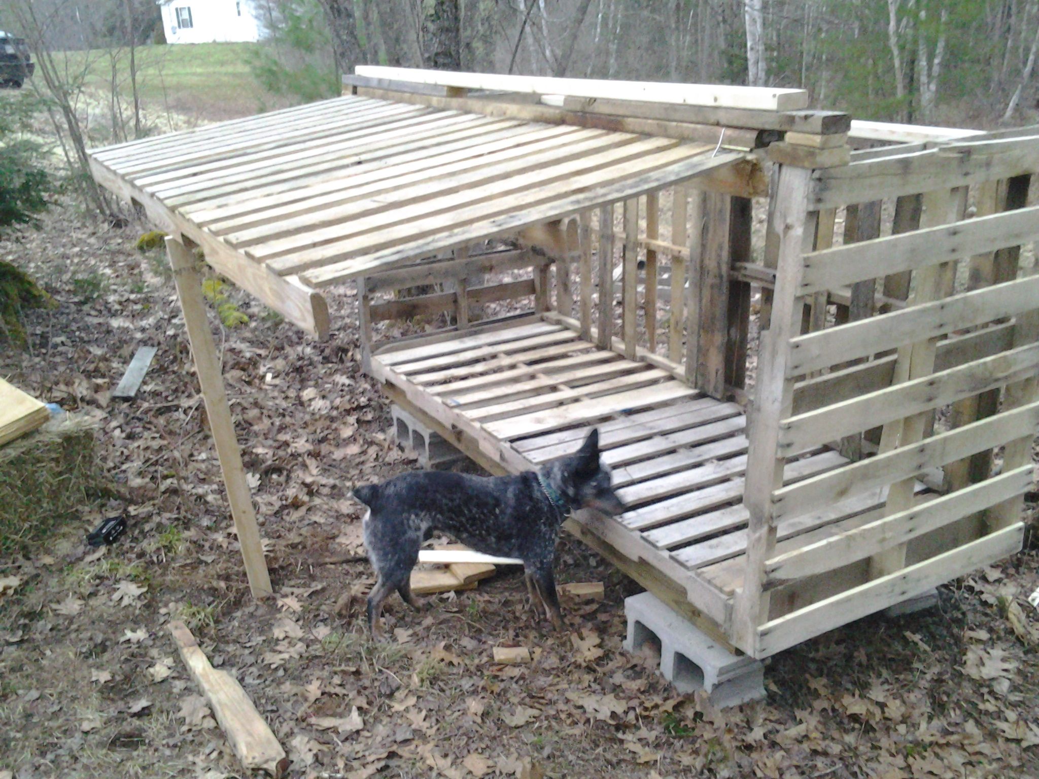 Pallet Chicken Coop : 8 Steps (with Pictures) - Instructables