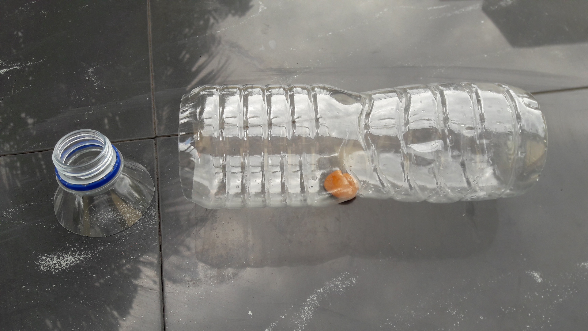 Cockroach Trap : 5 Steps - Instructables