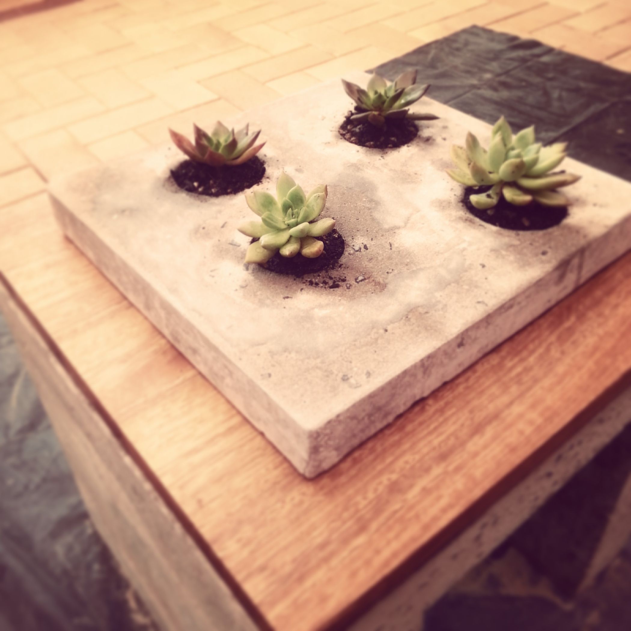 Concrete Planter : 9 Steps - Instructables