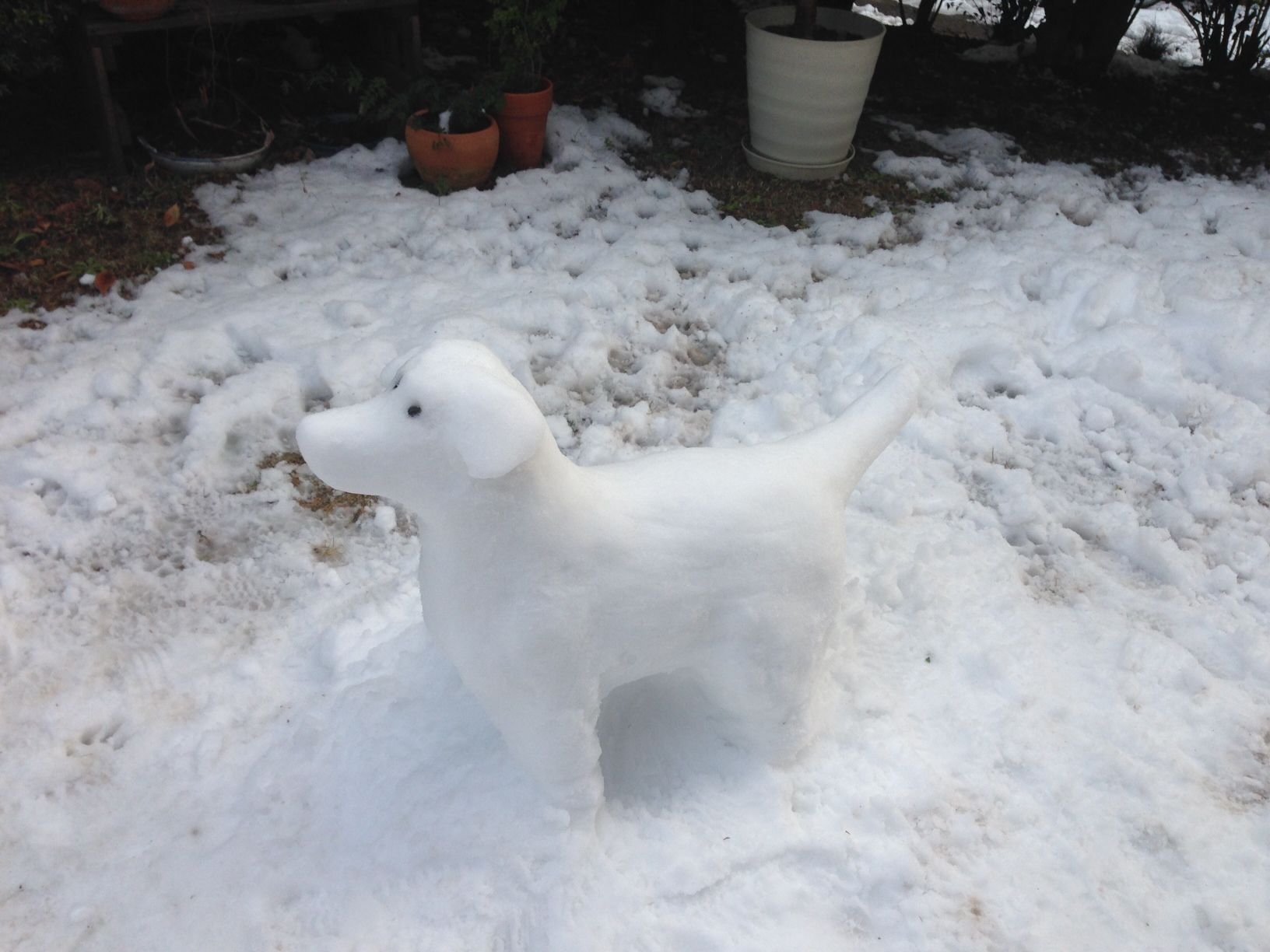 How to Make a Snow Dog Sculpture : 3 Steps - Instructables