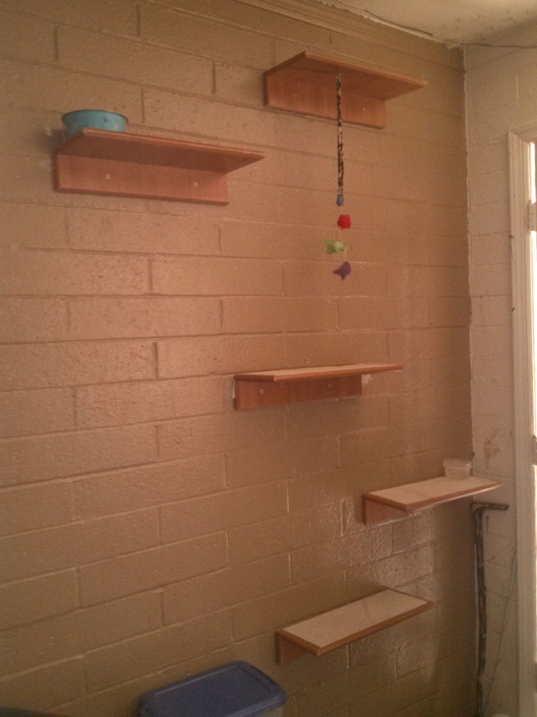 Cat Wall : 5 Steps - Instructables