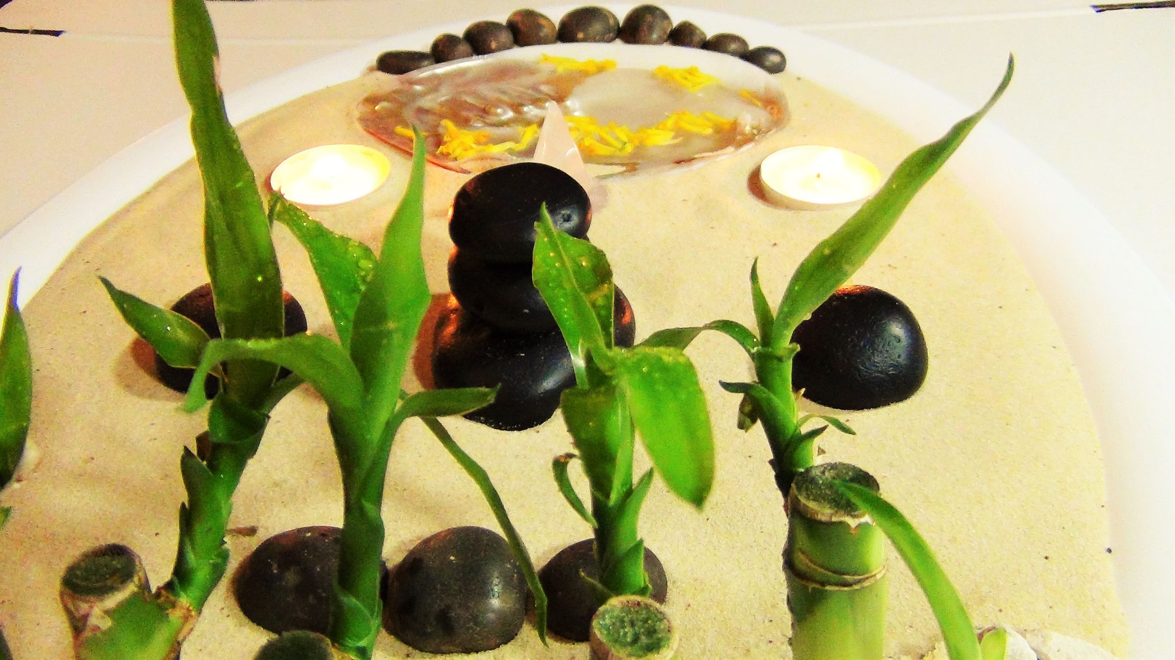 Zen Paradise Display for Your Home - Instructables