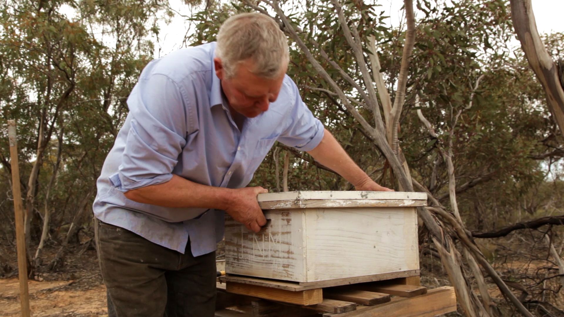 How to Build a Bee Hive Stand on the Cheap : 8 Steps (with Pictures ...