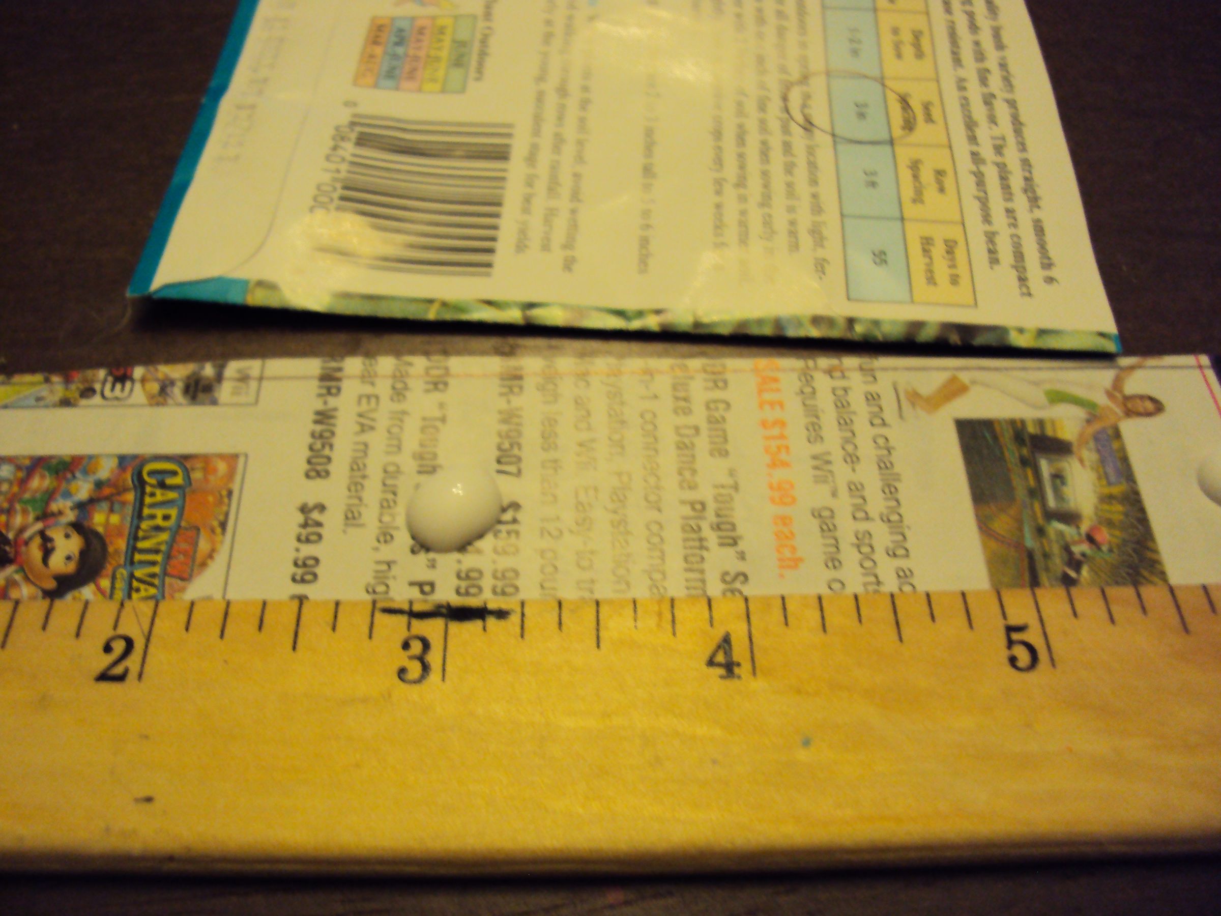 Garden All Year Long With Recycled Paper Seed Strips! : 5 Steps ...