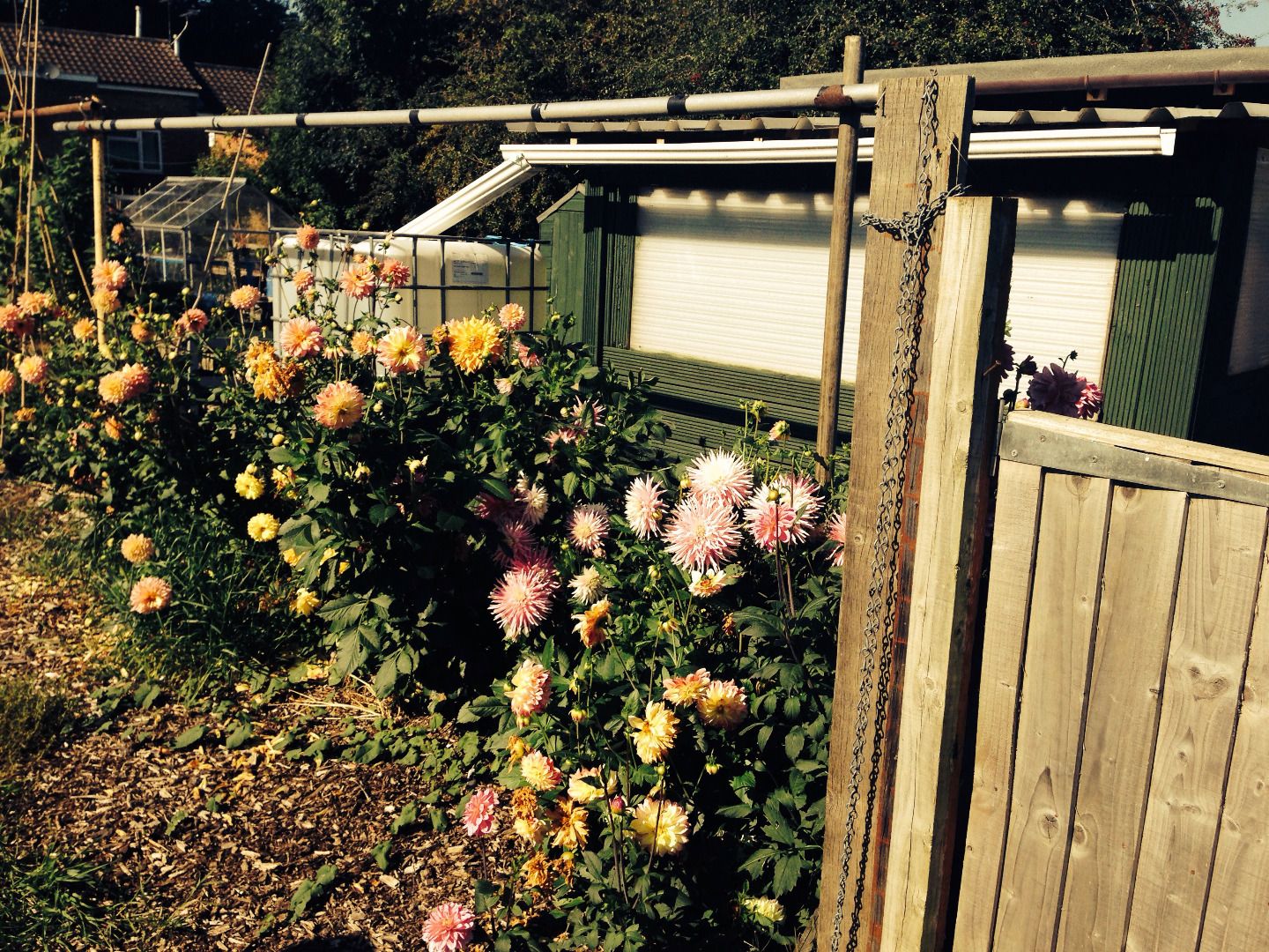 Scrap Wood to Shed Complex : 6 Steps (with Pictures) - Instructables