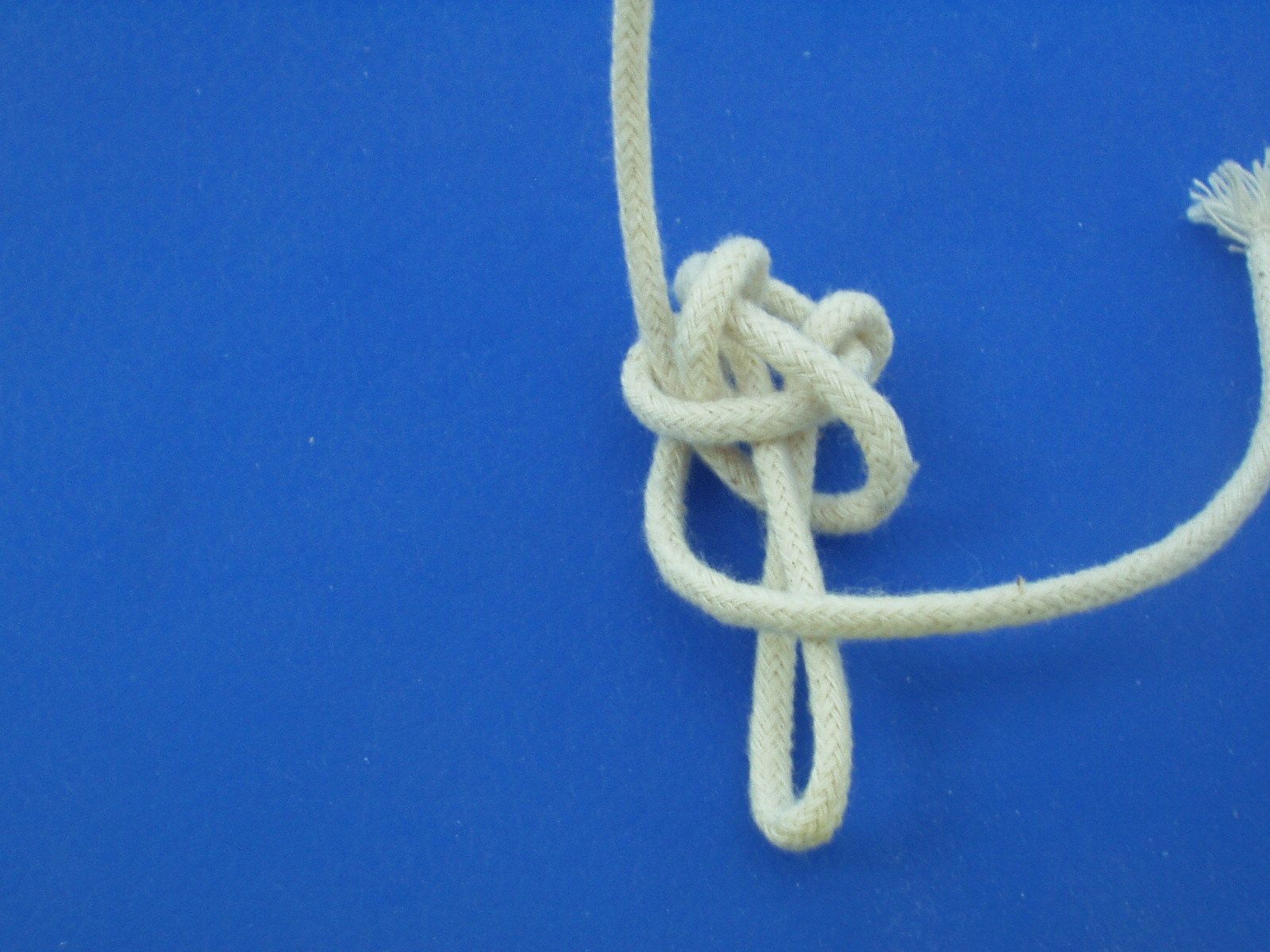 Two Strand Manrope Knot : 7 Steps - Instructables