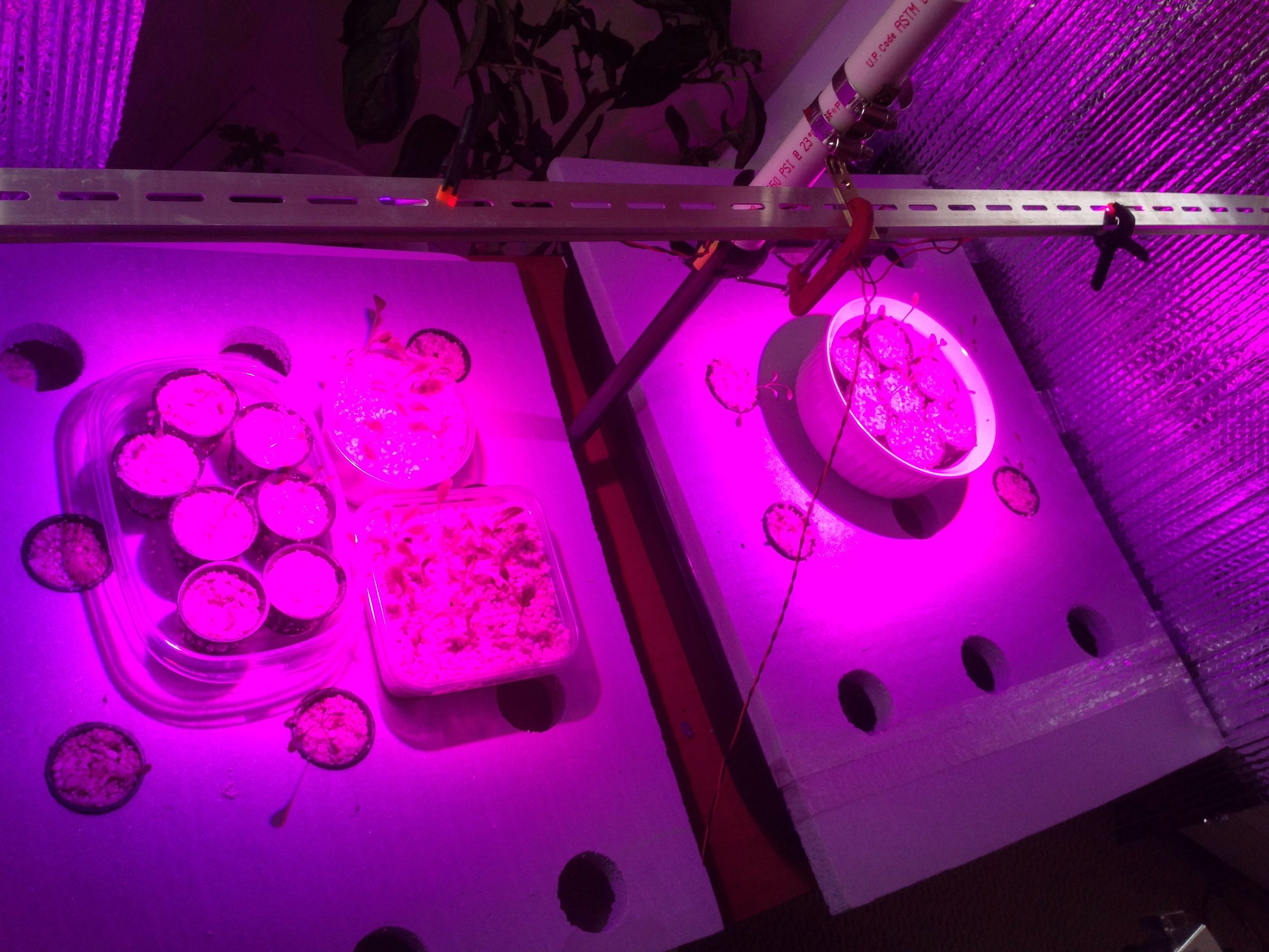 LED Grow Light Using Illumitex Surexi F1 LEDs : 5 Steps (with Pictures ...