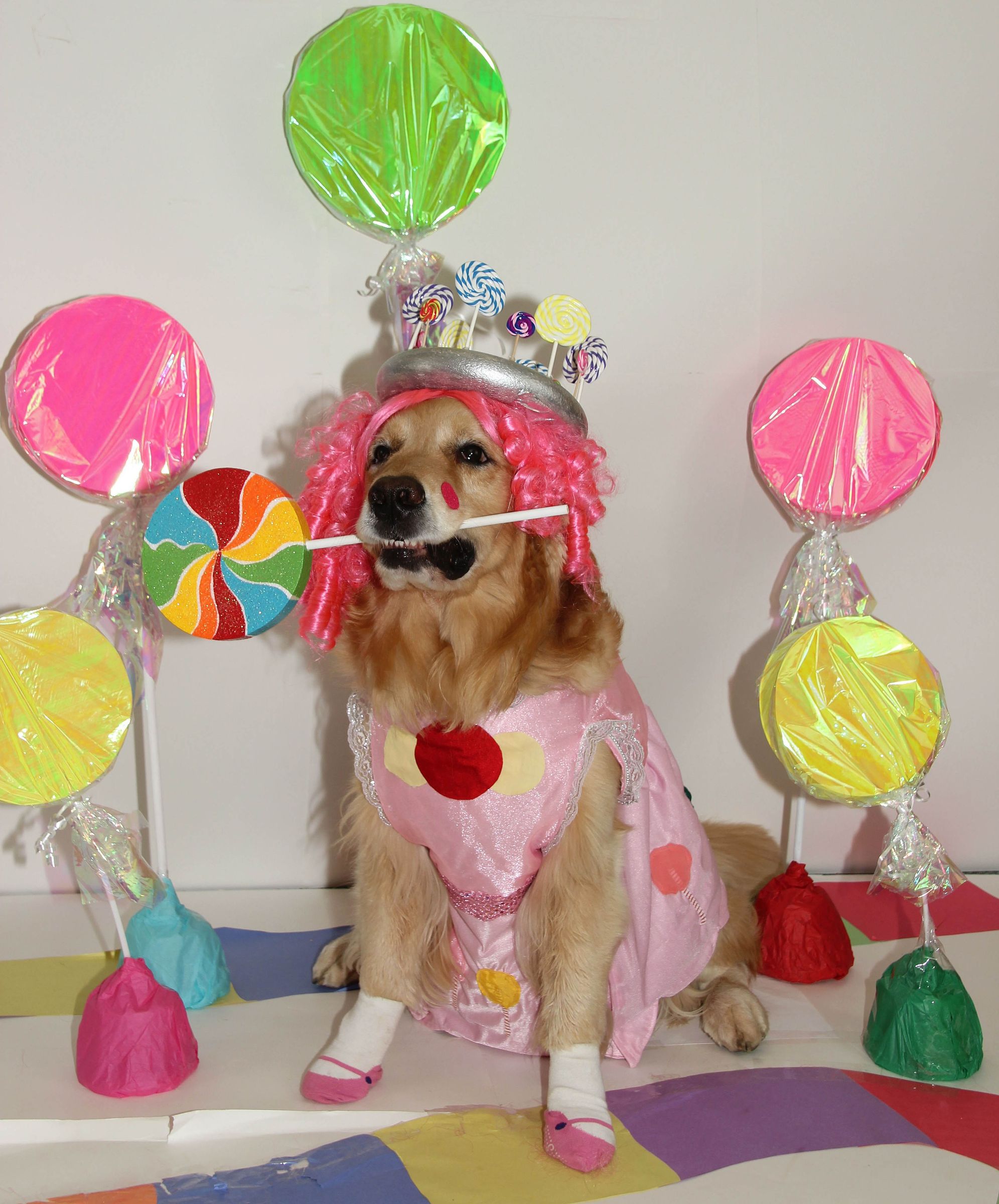 Homemade Candyland Characters Costumes