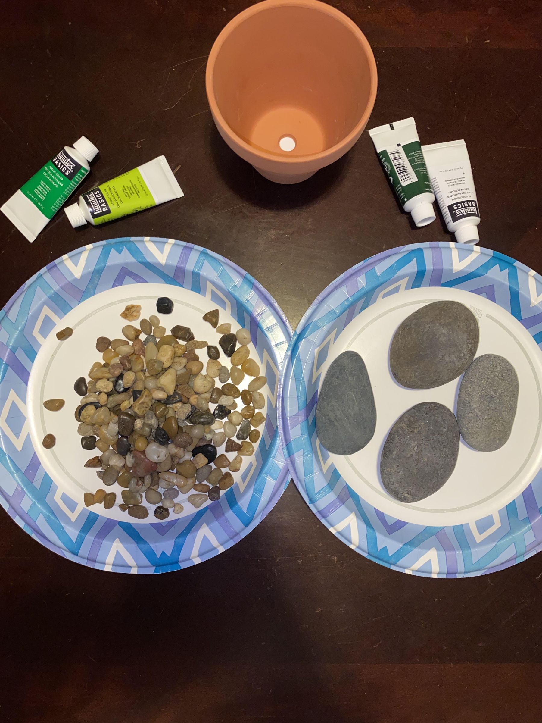 Living Rocks in a Pot : 10 Steps (with Pictures) - Instructables