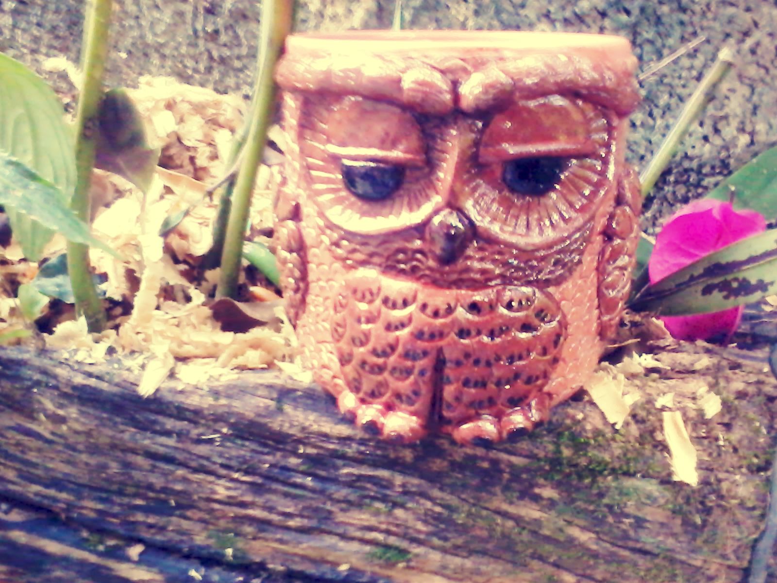 Owl Mug : 3 Steps - Instructables