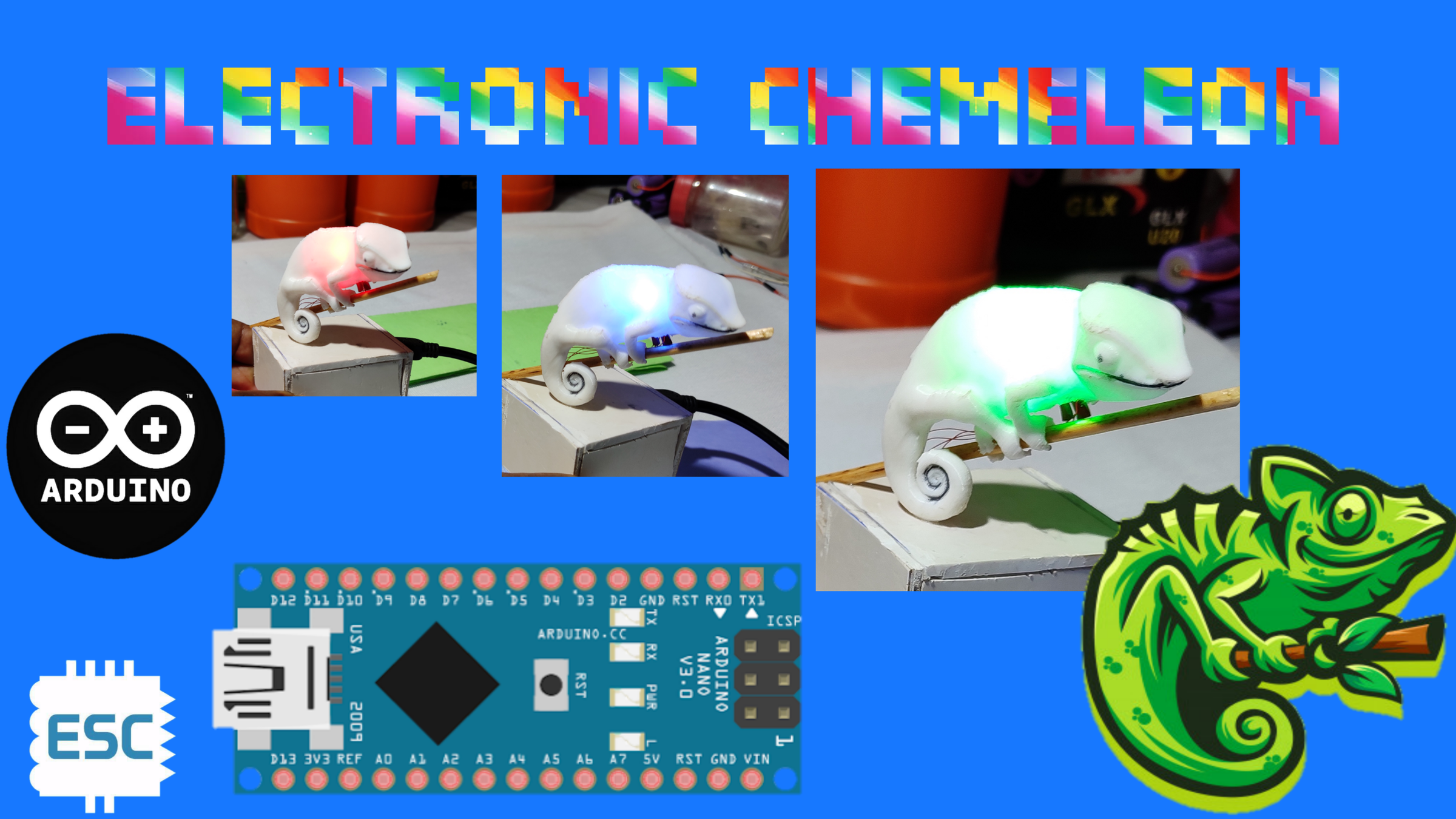 COLOUR CHANGING ELECTRONIC CHAMELEON : 6 Steps - Instructables