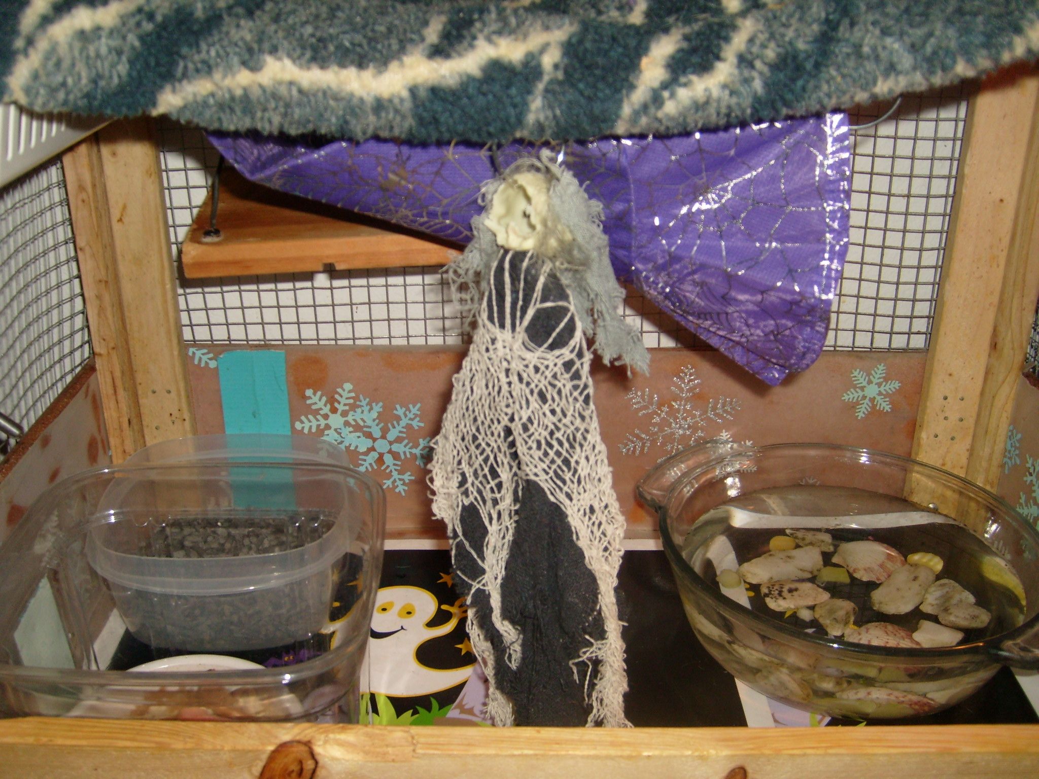 How To: Pet Rats : 8 Steps - Instructables