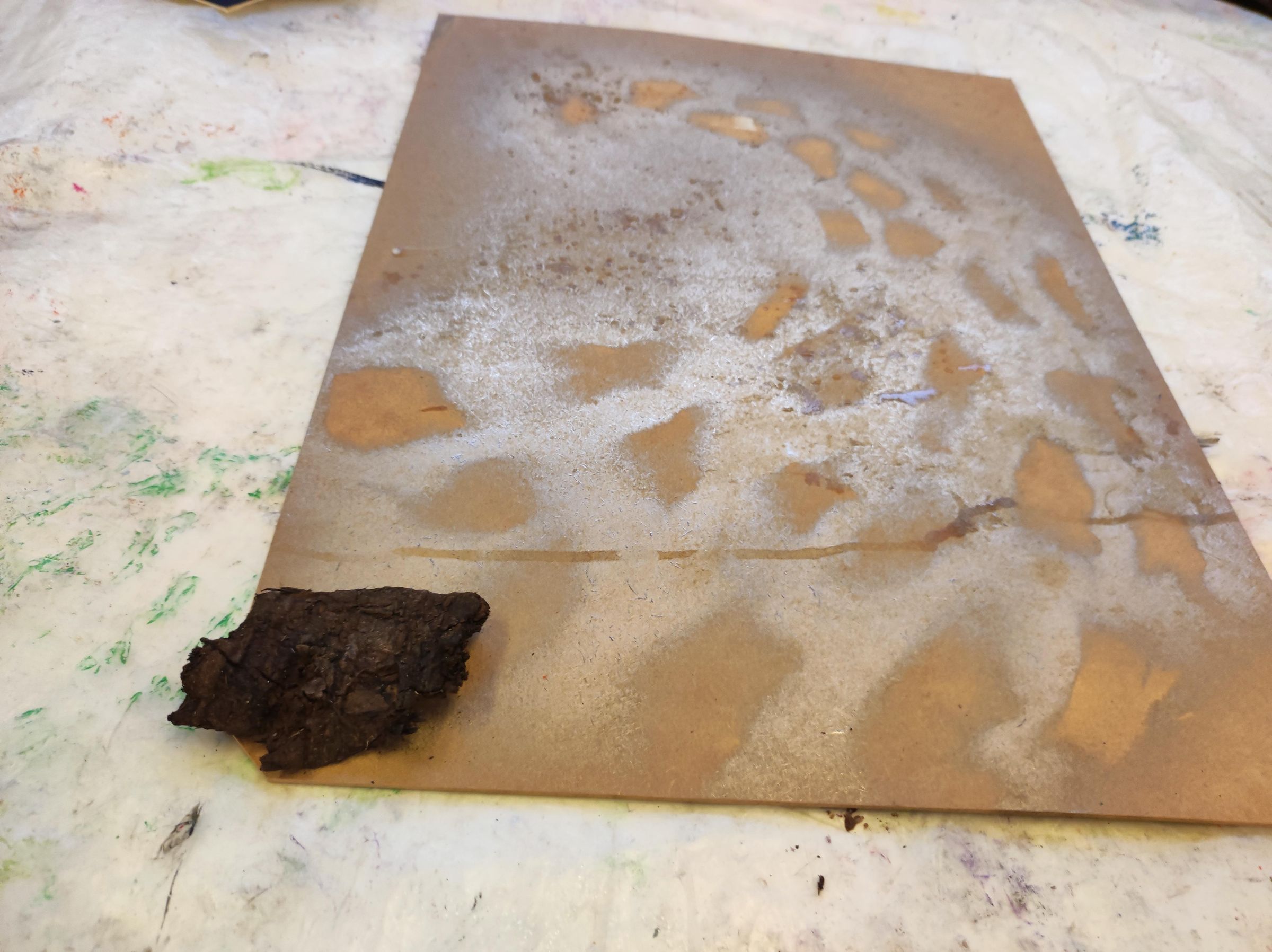 Tree Bark Art : 4 Steps (with Pictures) - Instructables