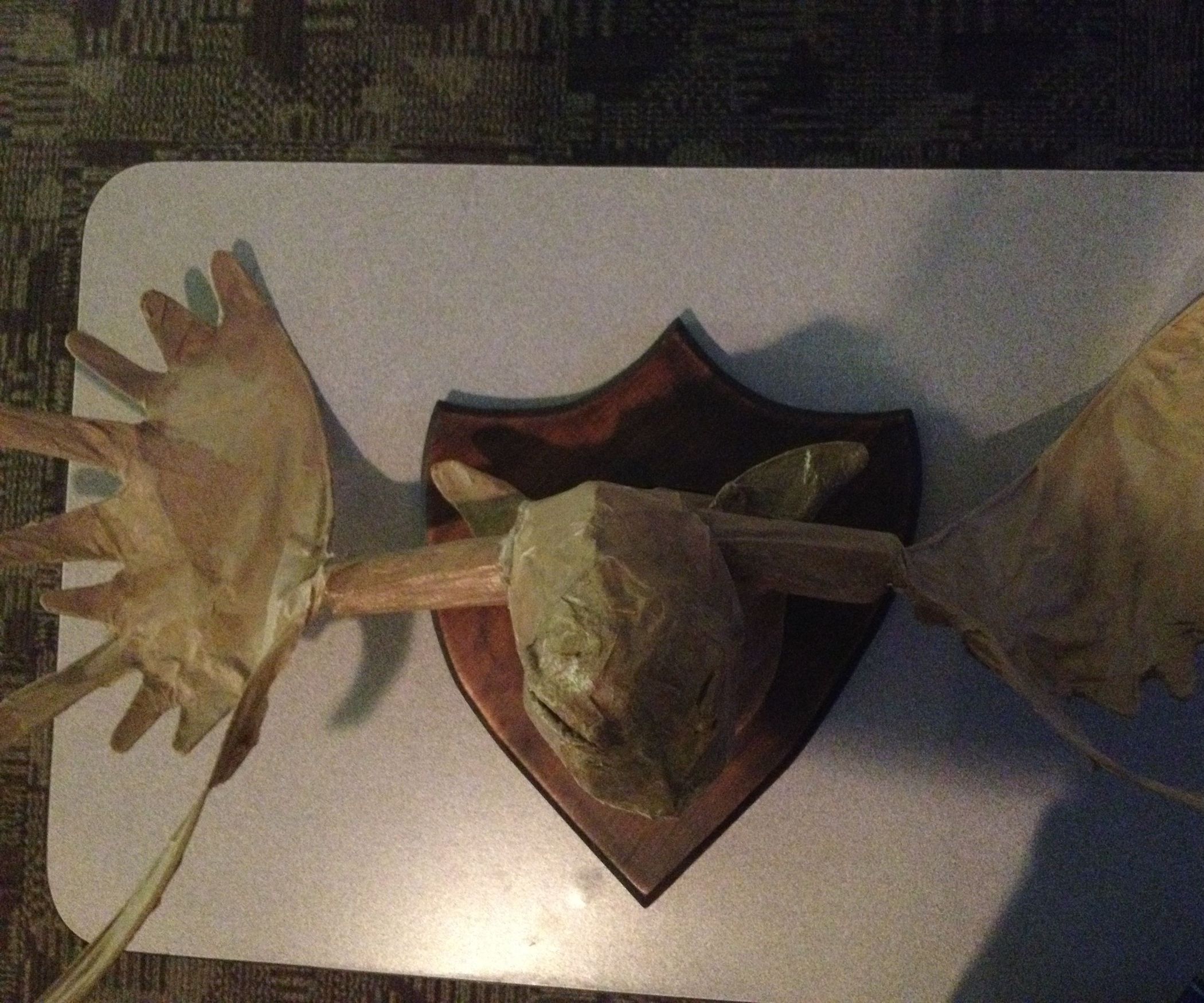 Moose Head - Faux Taxidermy : 10 Steps - Instructables