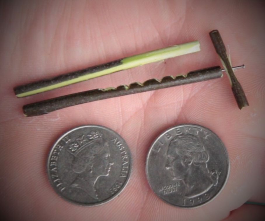 Tiny Gee Haw Whimmy Diddle : 12 Steps (with Pictures) - Instructables